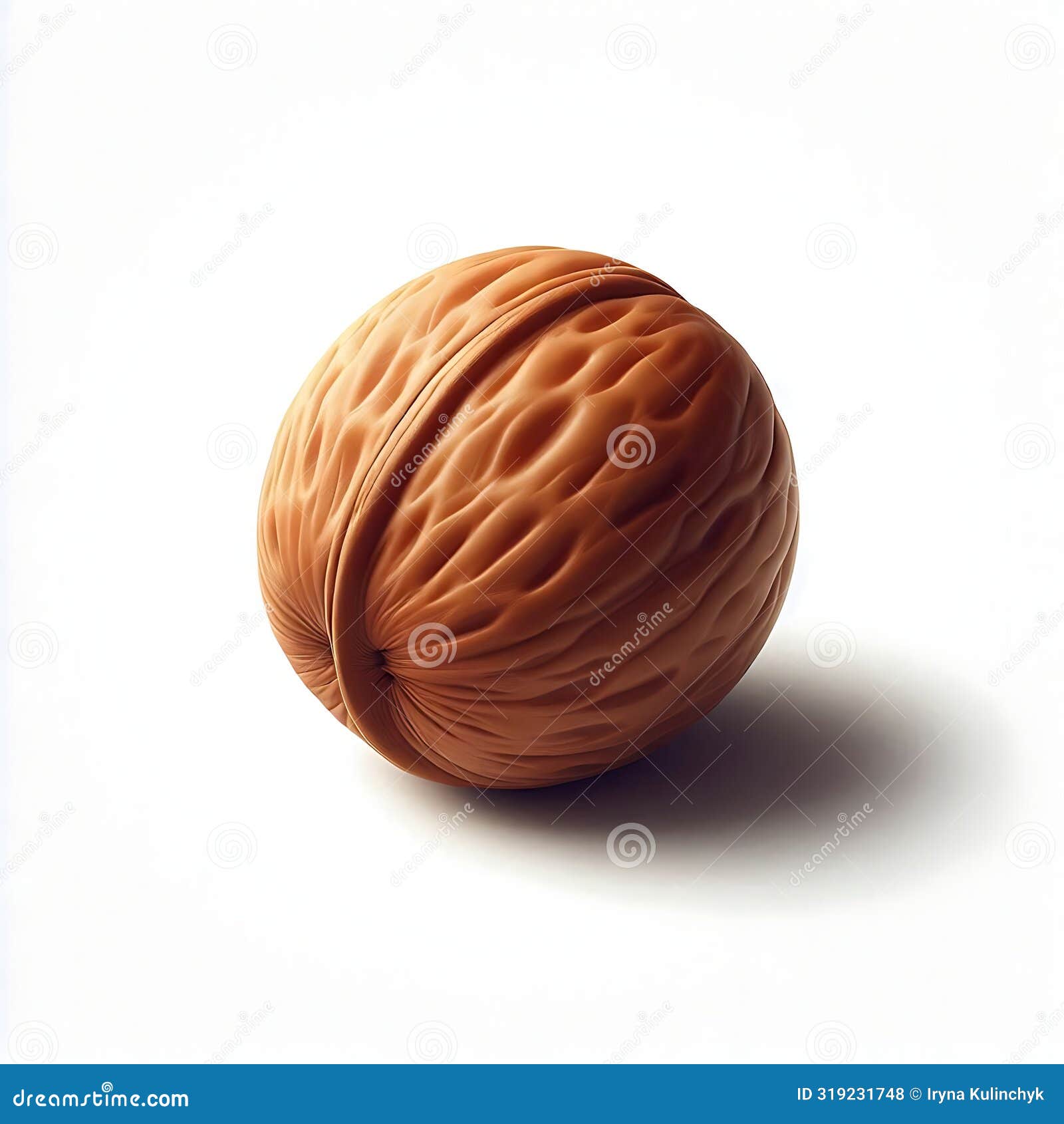 A Single Nut is Displayed on a Stark White Surface, Showcasing Its ...