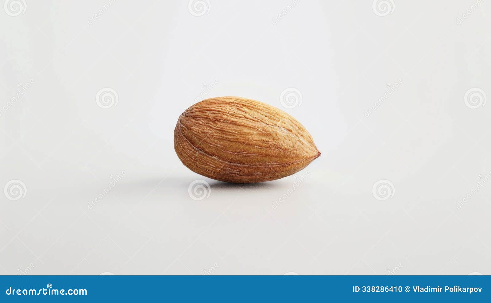 A Single Nut Sitting on a White Surface, Great for Highlighting Texture ...