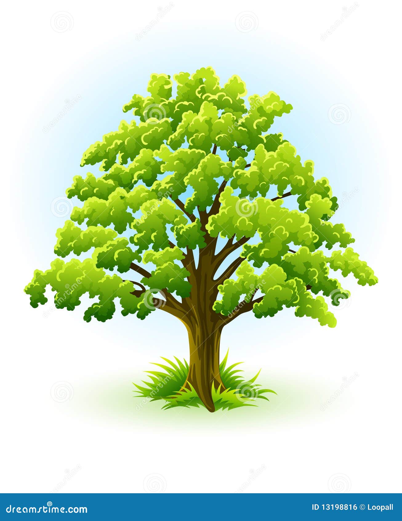 Oak Tree Leaves Vector