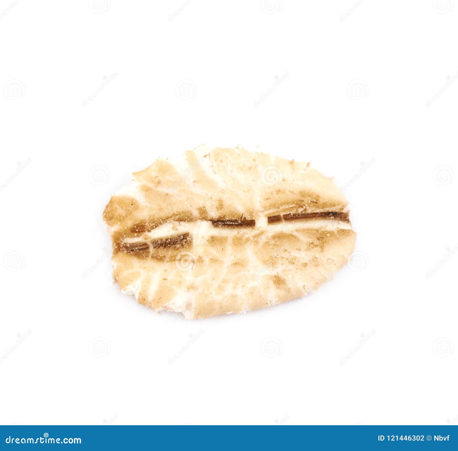 Single oat flake isolated stock photo. Image of grain - 121446302