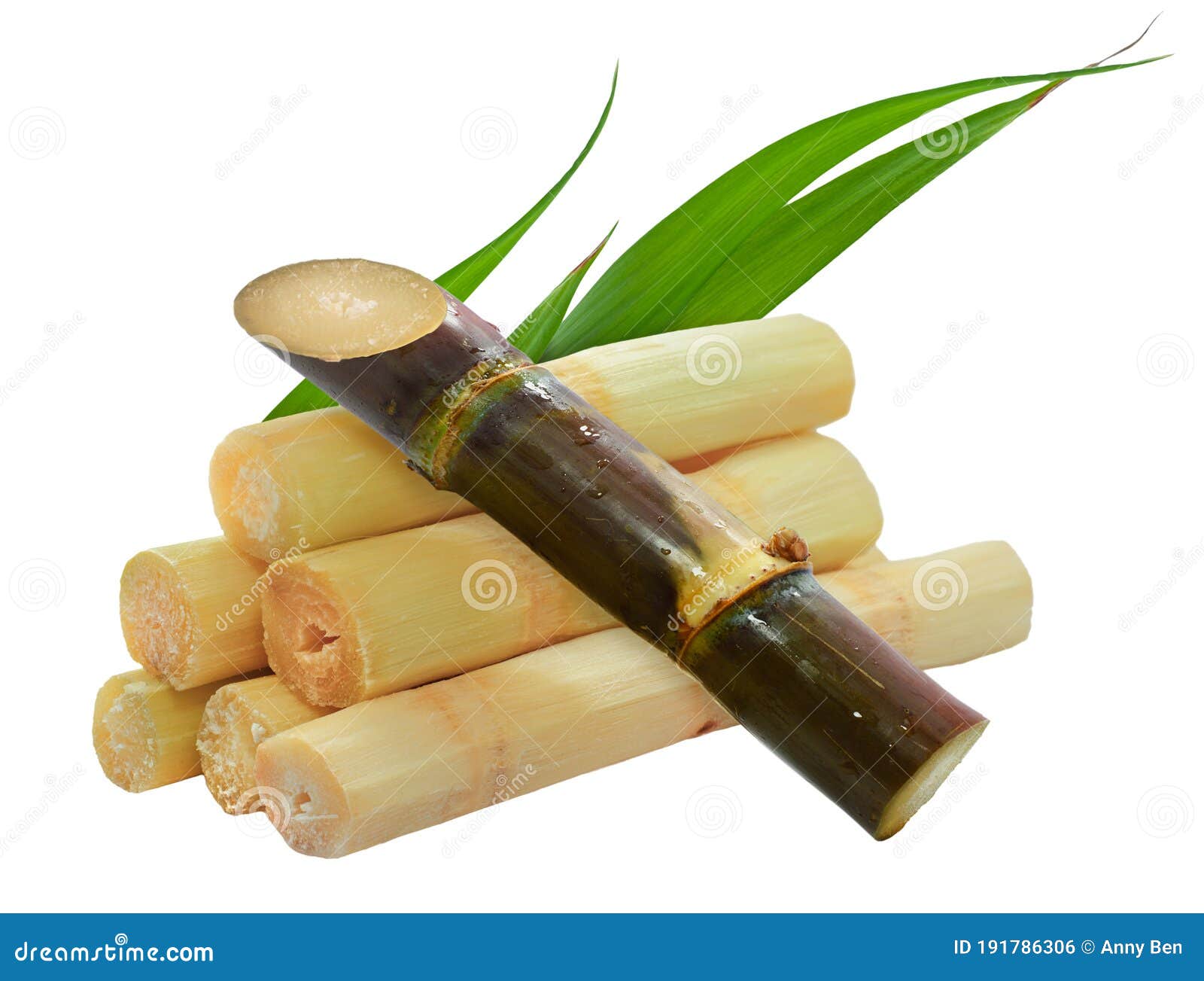 Single Object of Sugar Cane Isolated on White Stock Photo - Image of ...