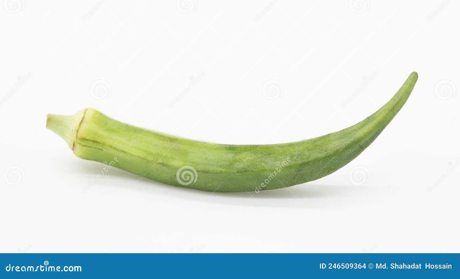 Single Okra or Lady Finger Isolate on White Background Stock Photo ...