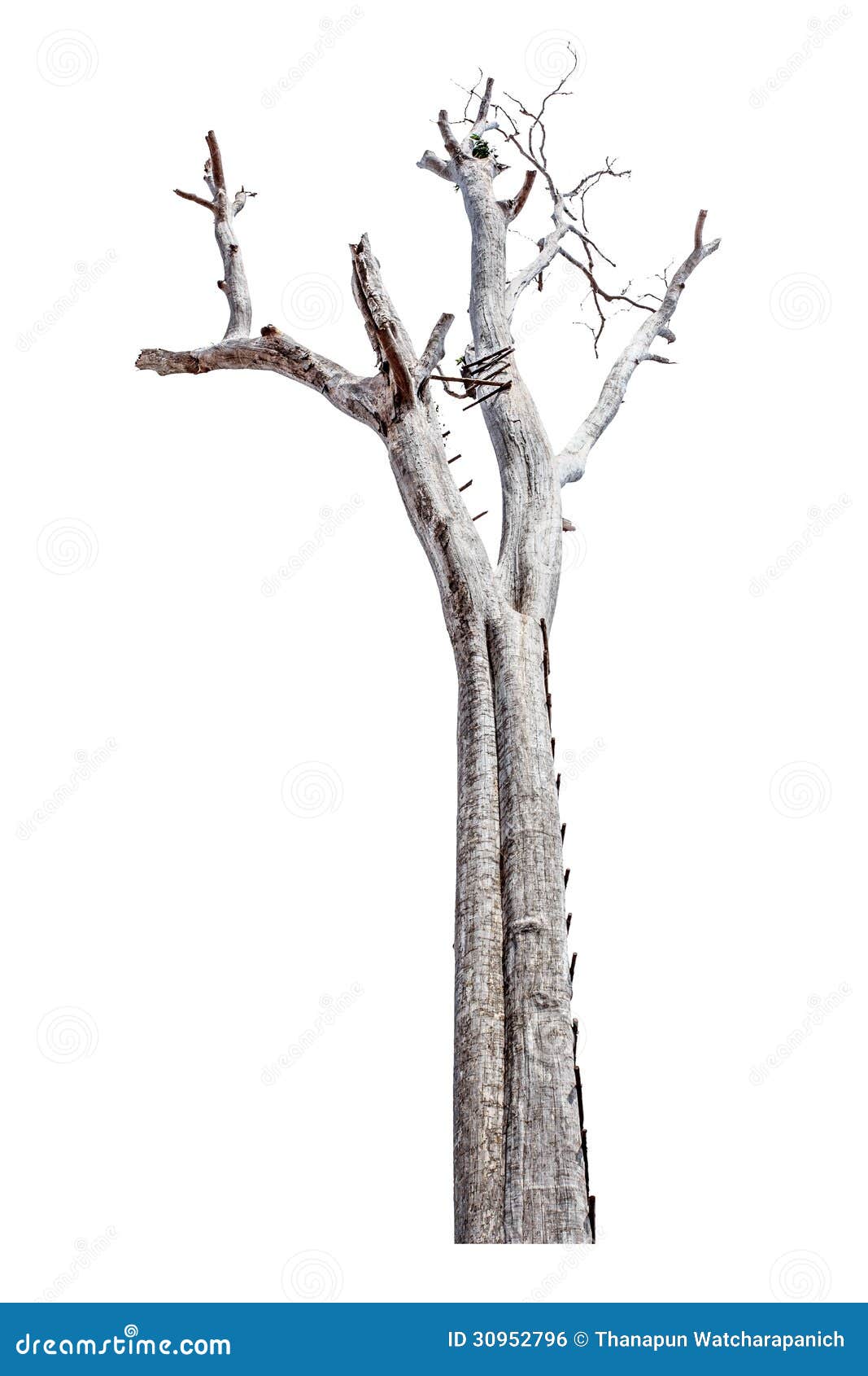 Closed Path Stock Illustrations – 3,048 Closed Path Stock Illustrations ...