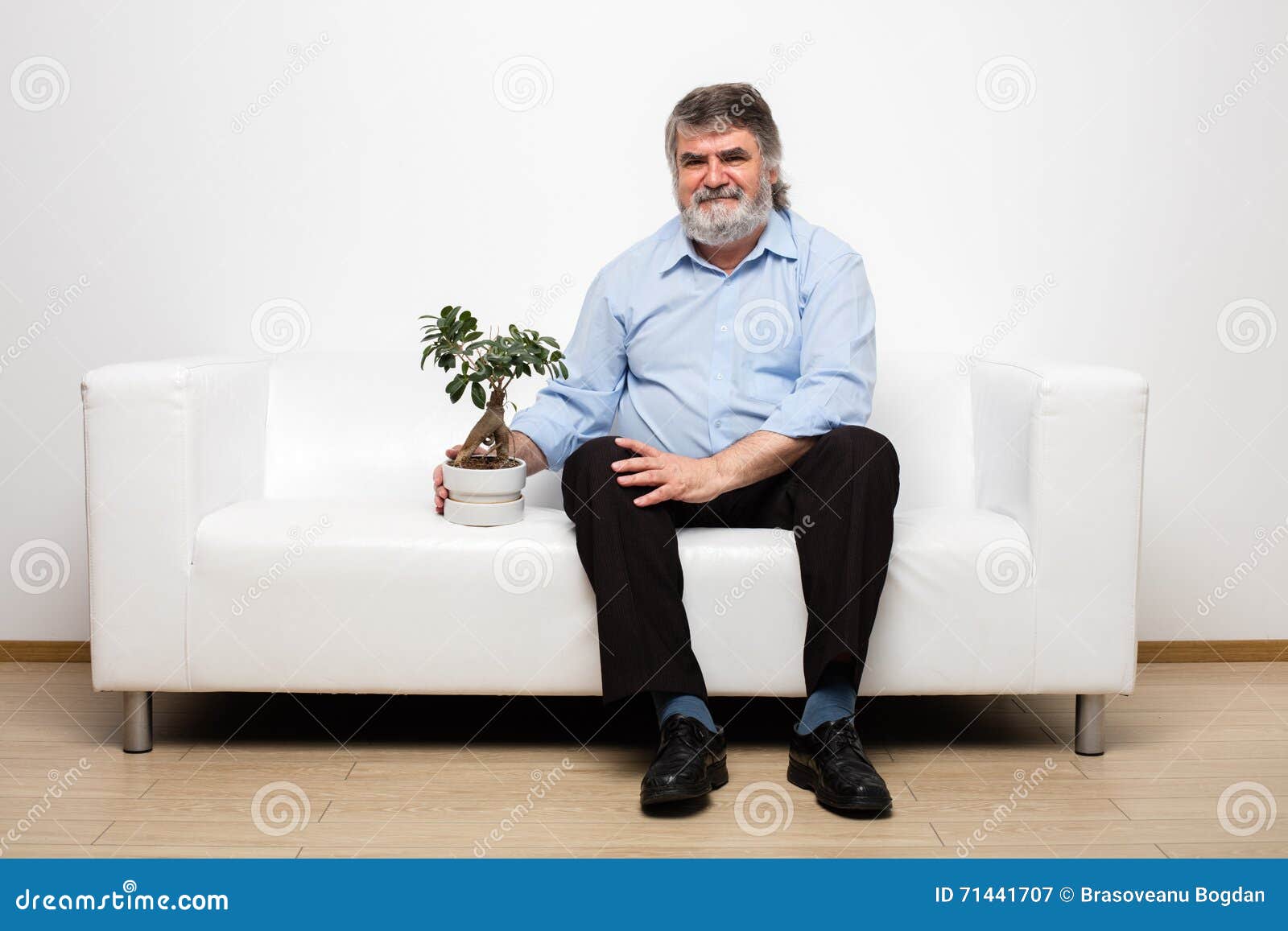 Single Old Men on White Couch with a Bonsai Stock Image - Image of ...