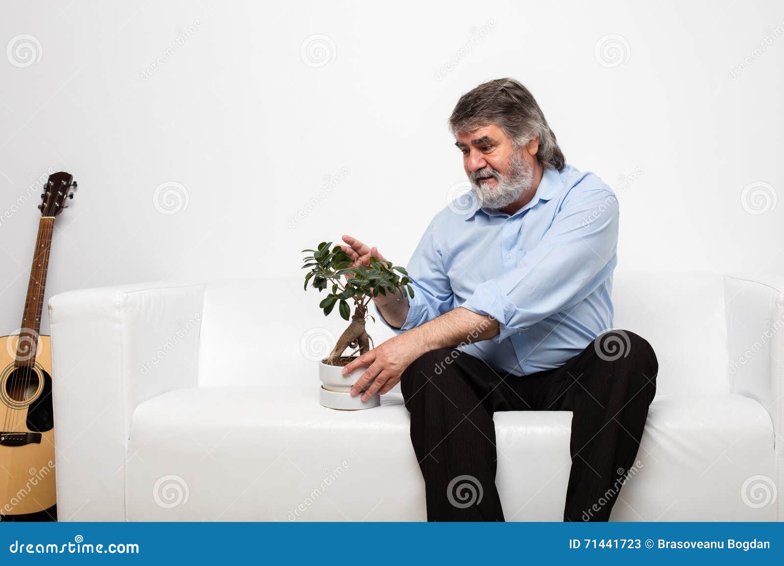 Single Old Men on White Couch with a Bonsai Stock Image - Image of ...