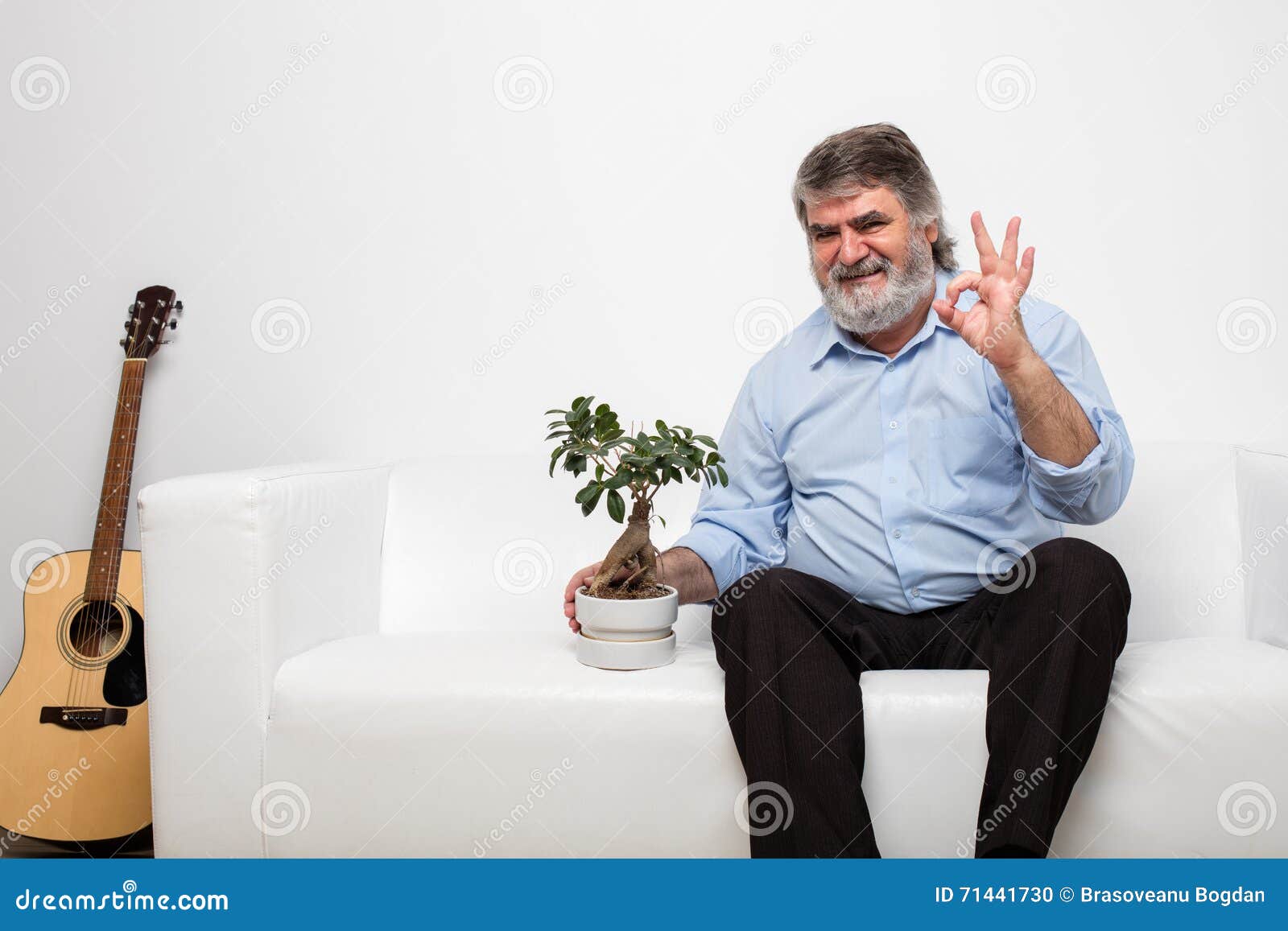 Single Old Men on White Couch with a Bonsai Stock Photo - Image of ...