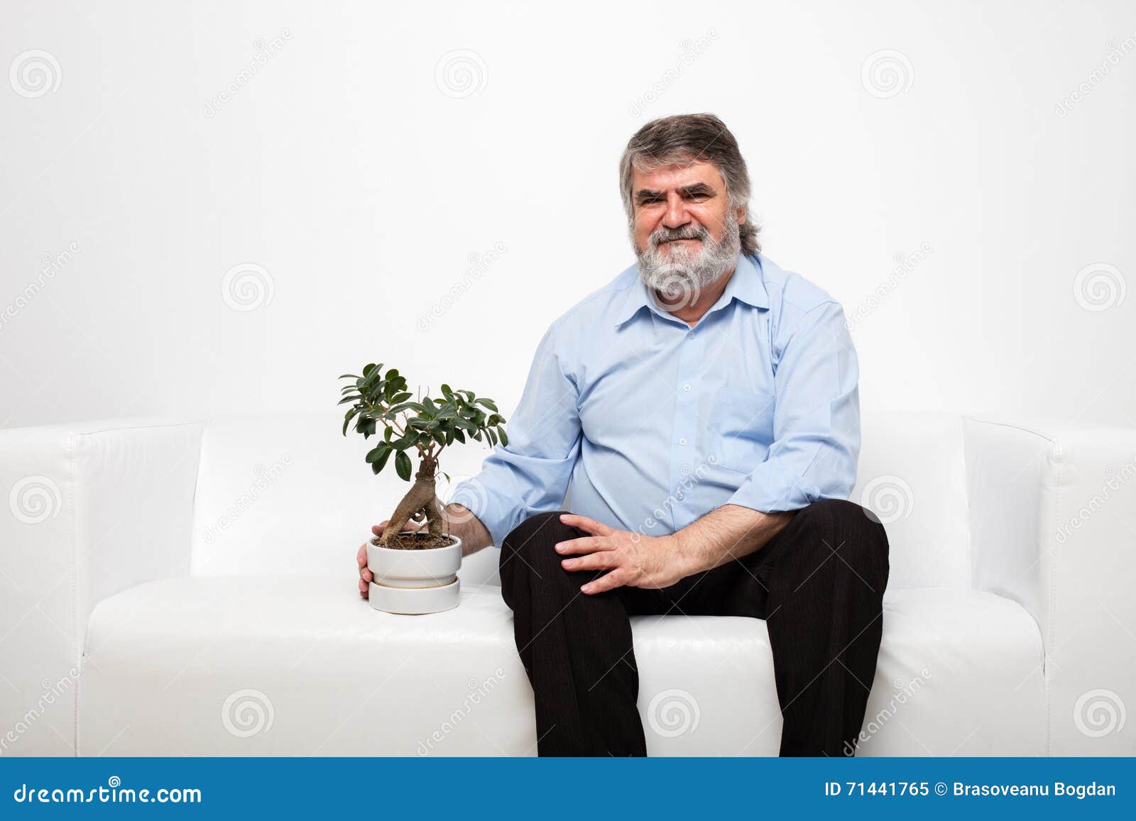 Single Old Men on White Couch with a Bonsai Stock Image - Image of ...