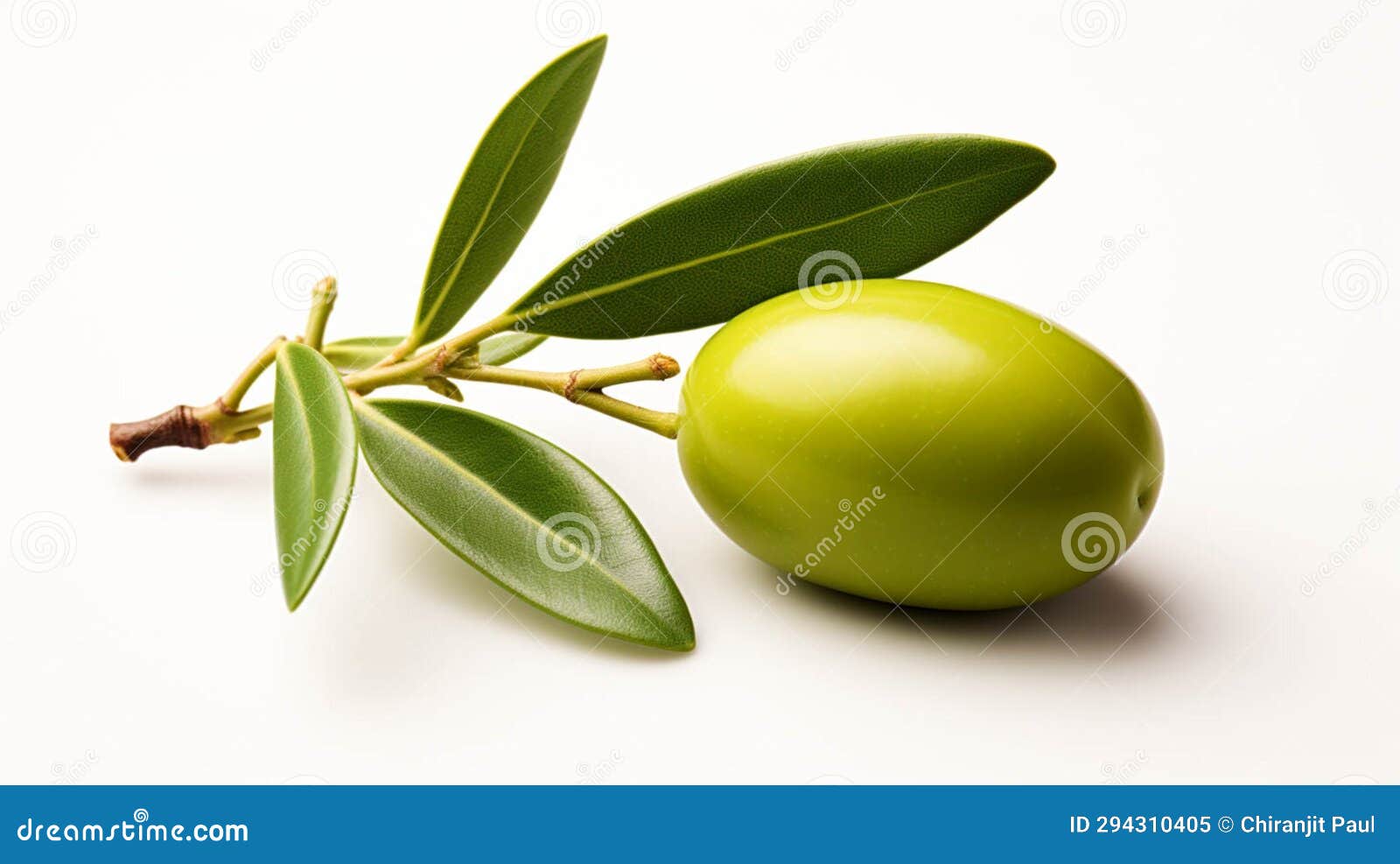 Single Olive Tree Royalty-Free Stock Image | CartoonDealer.com #40532188