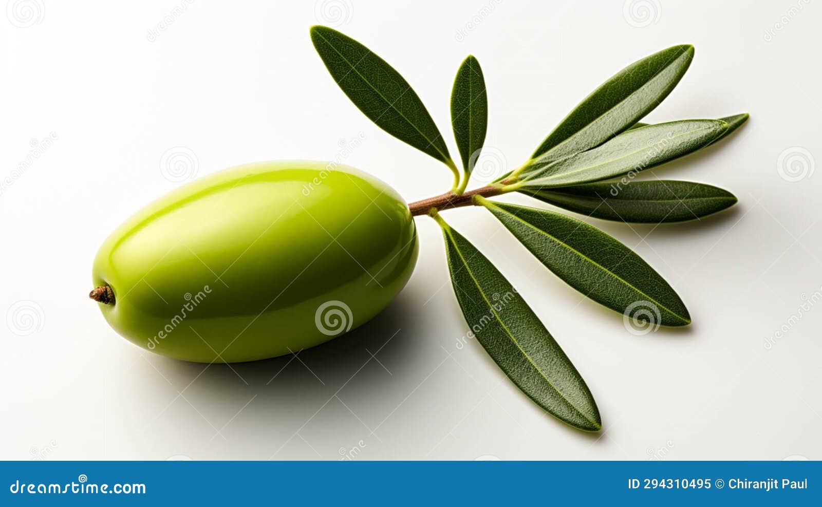 A Single Olive without Leaf Illustration Isolated on White Background ...