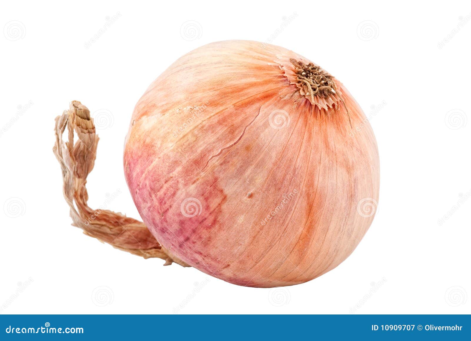 A Single Onion Weed Blooming Stock Photography | CartoonDealer.com ...