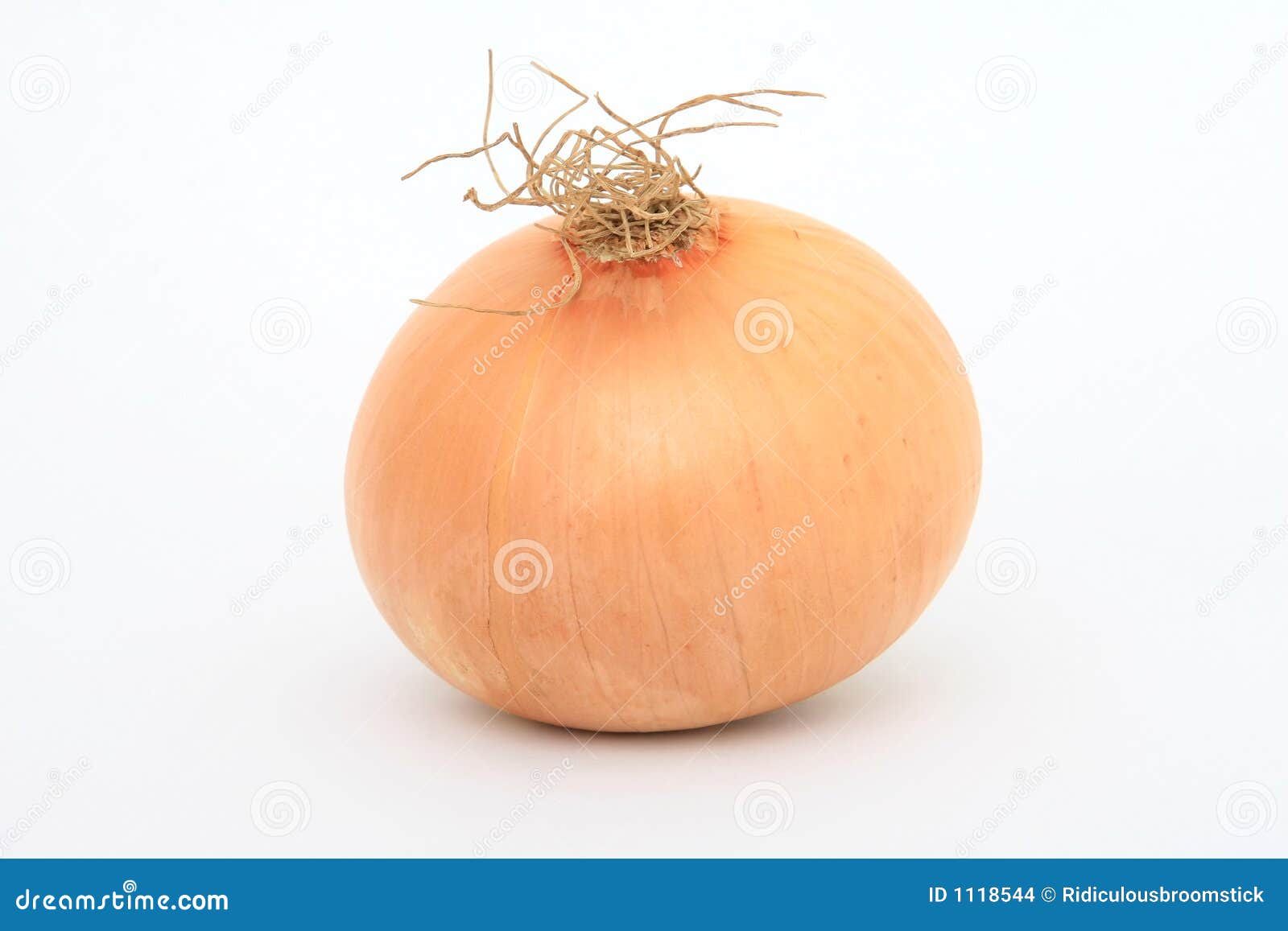 Single onion stock photo. Image of healthy, edible, earth - 1118544
