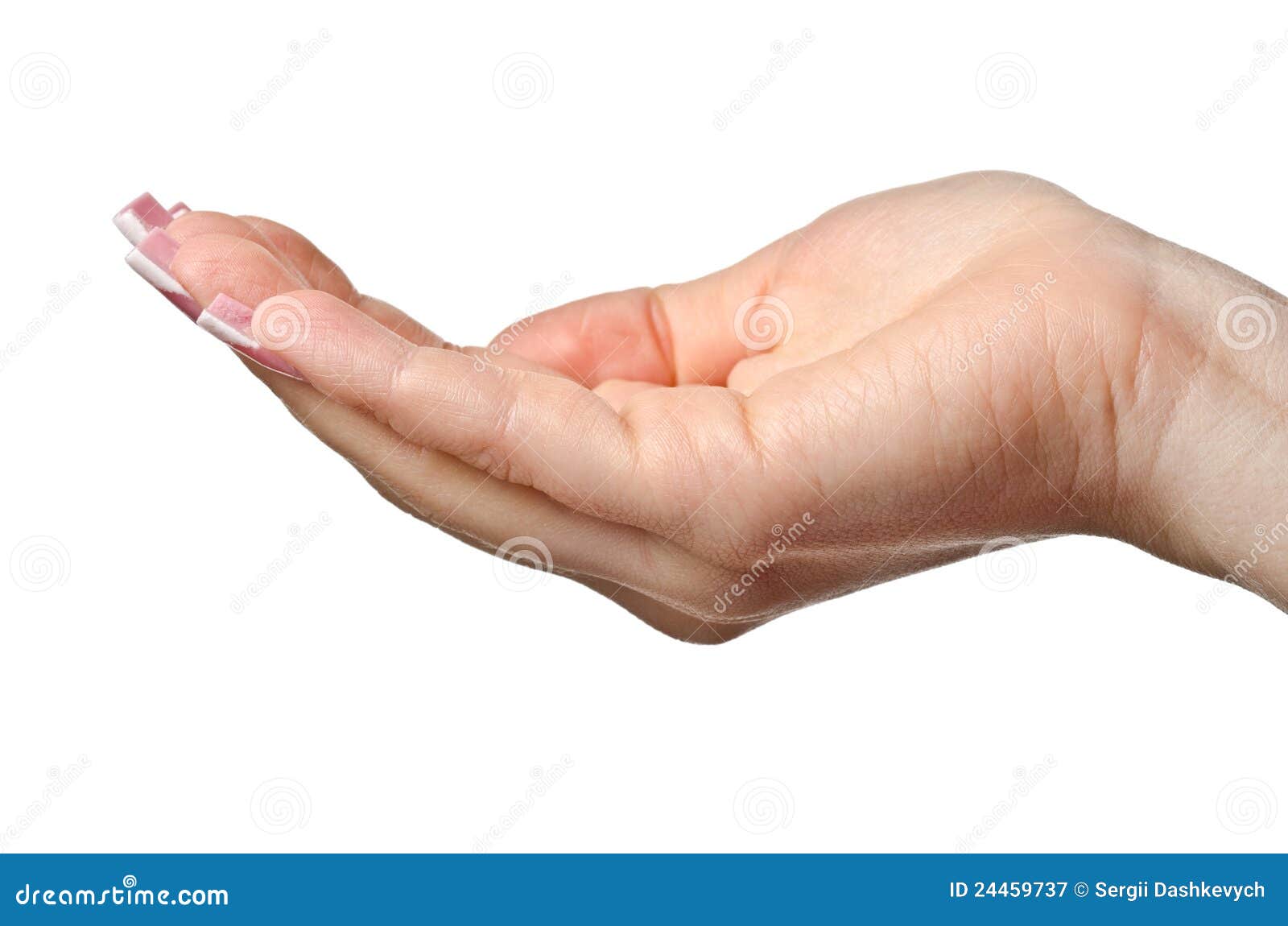 Single open hand stock image. Image of flat, copy, ideas - 24459737
