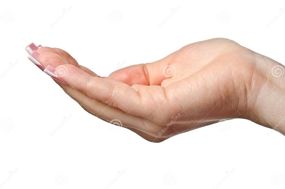 Single open hand stock image. Image of flat, copy, ideas - 24459737