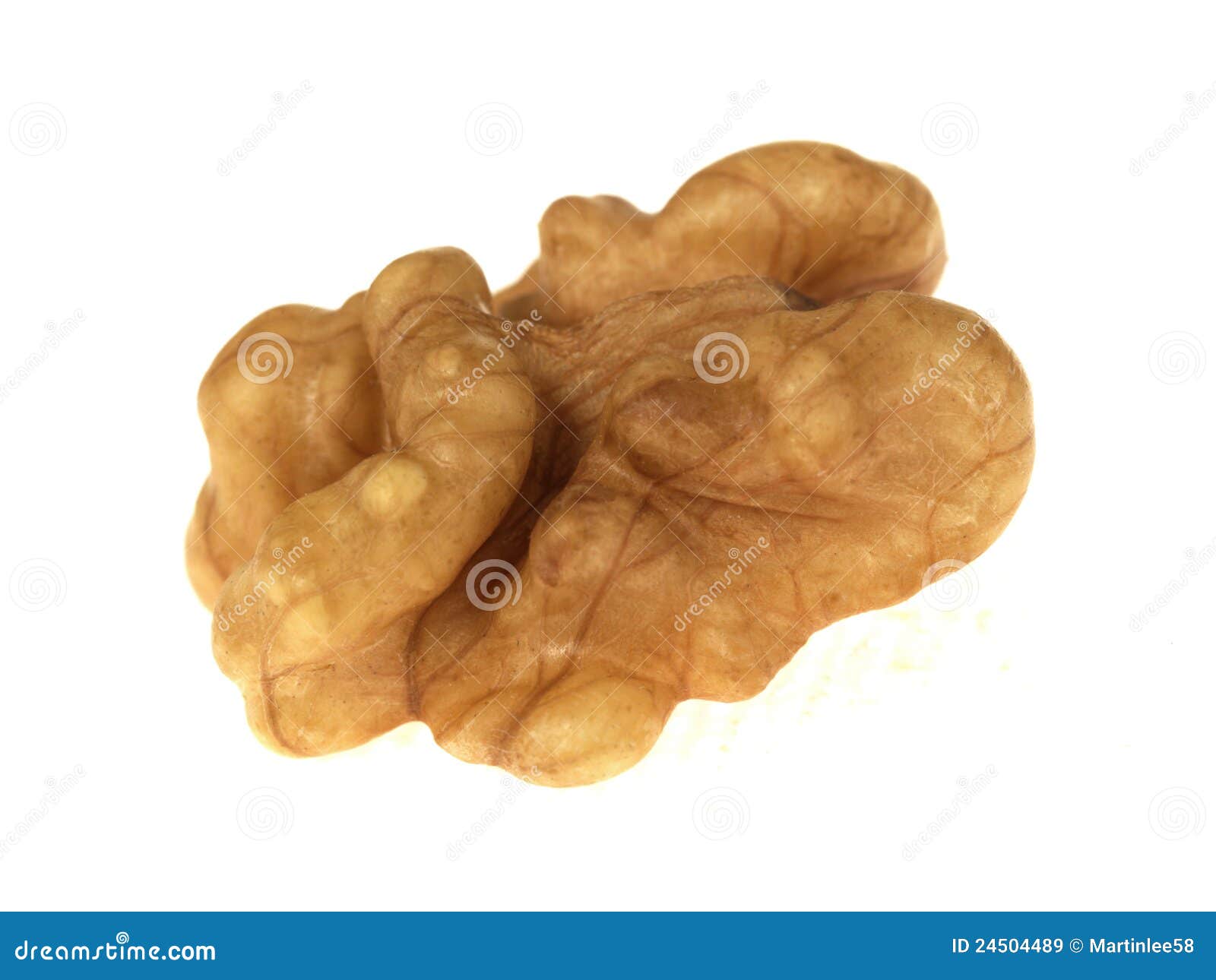 Single Open Walnut stock image. Image of natural, organic - 24504489
