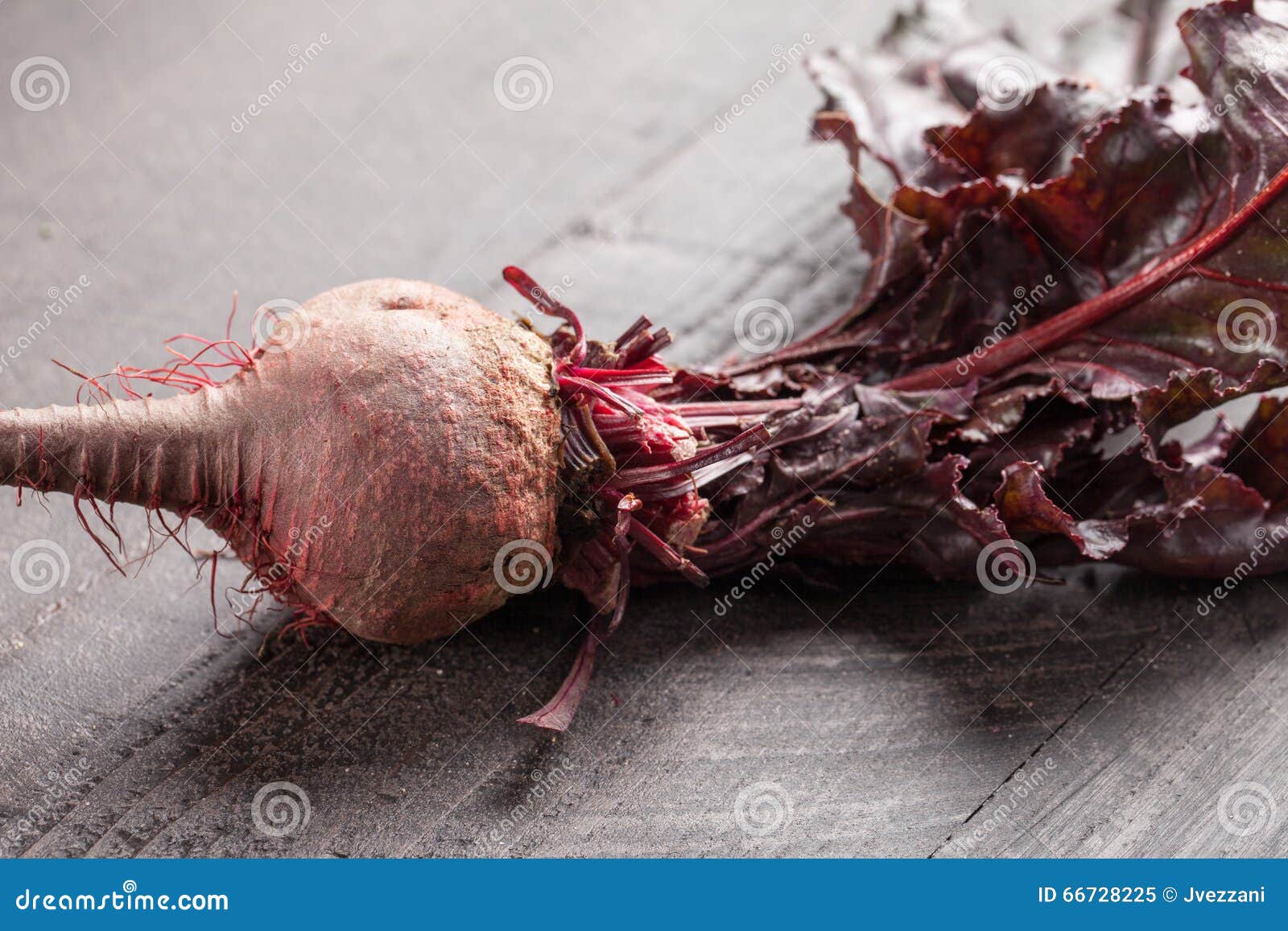 Single organic beet stock image. Image of large, objects - 66728225