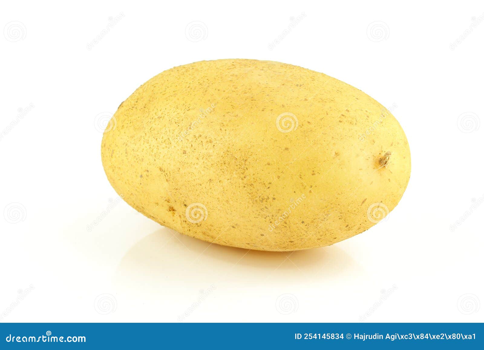 Single Organic Potato Isolated on White Background Stock Photo - Image ...