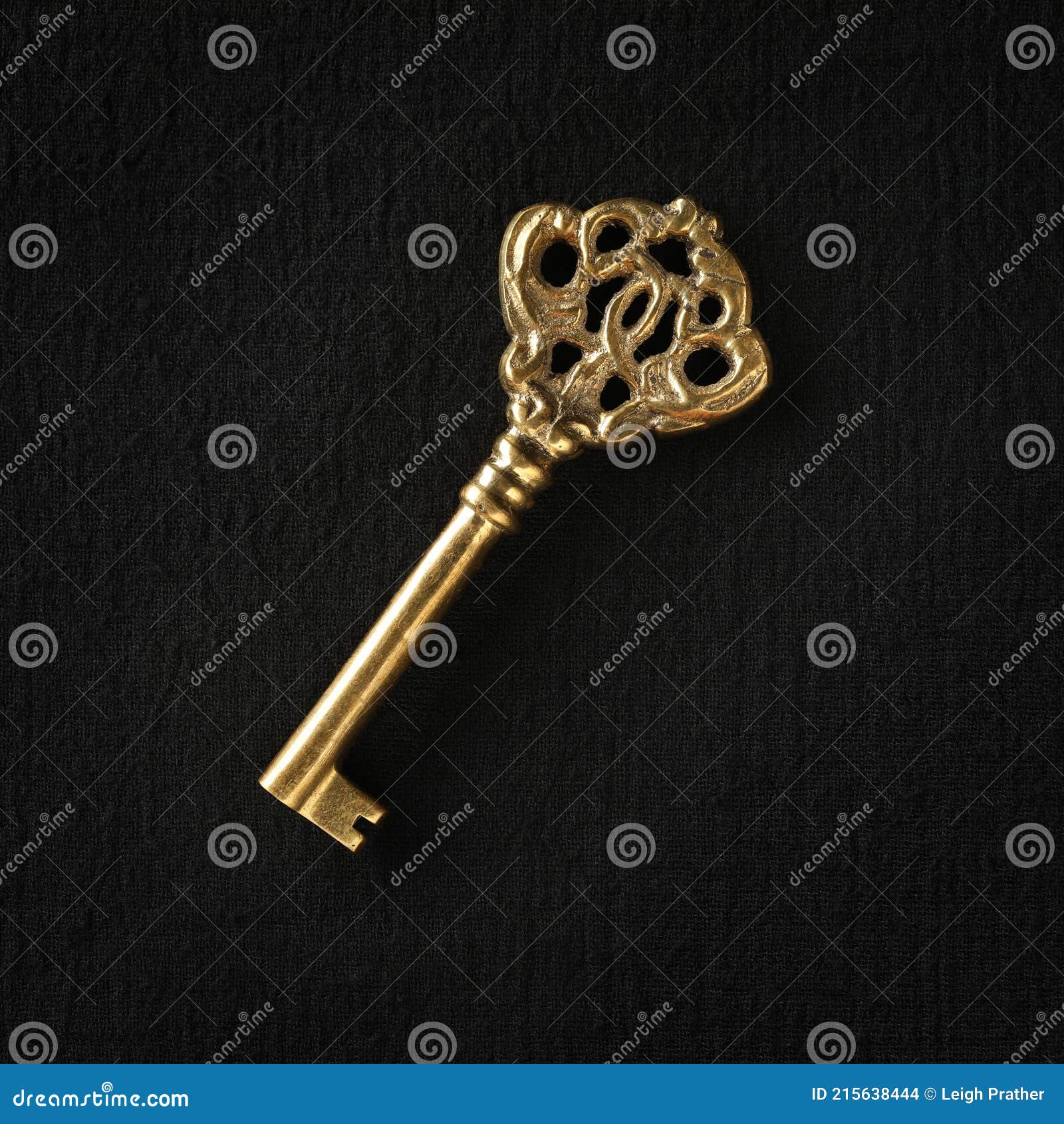 Single Ornate Skeleton Key in Gold. Concept for Unlocking Opportunities ...