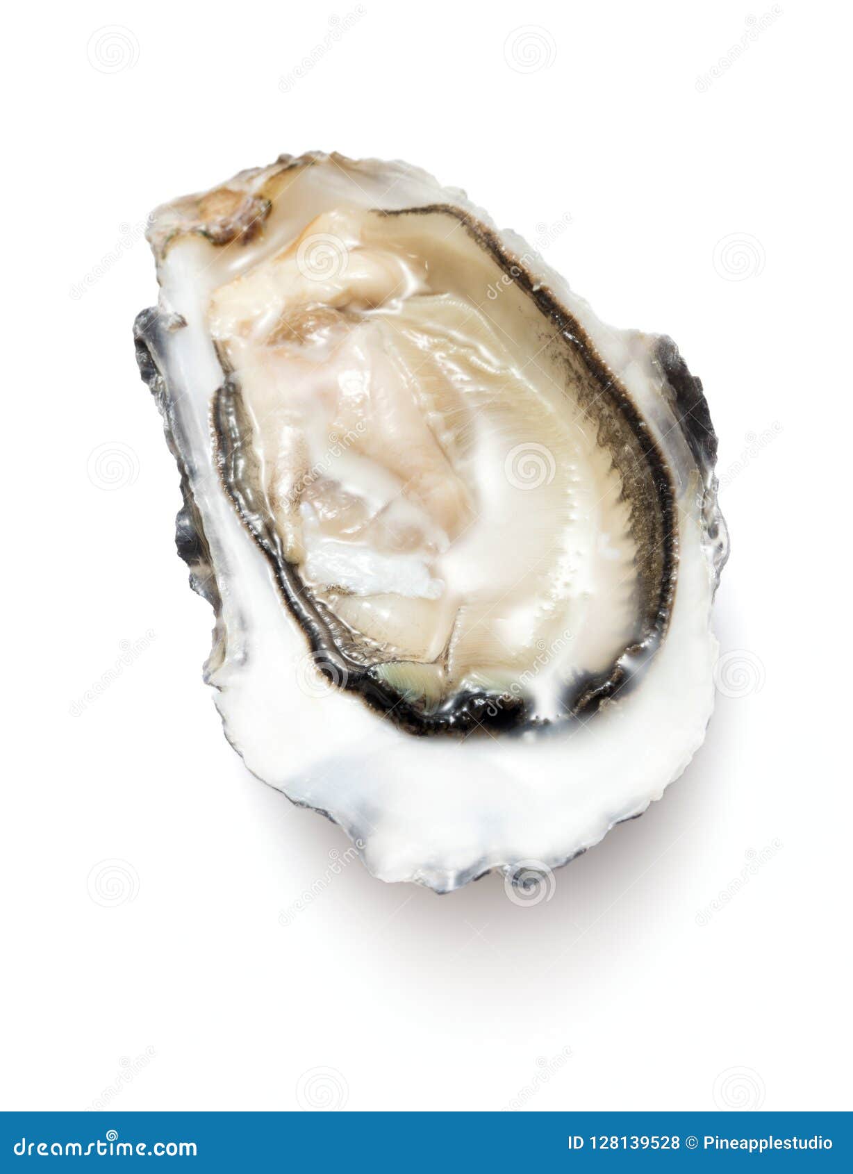 Single oyster isolated stock photo. Image of background - 128139528