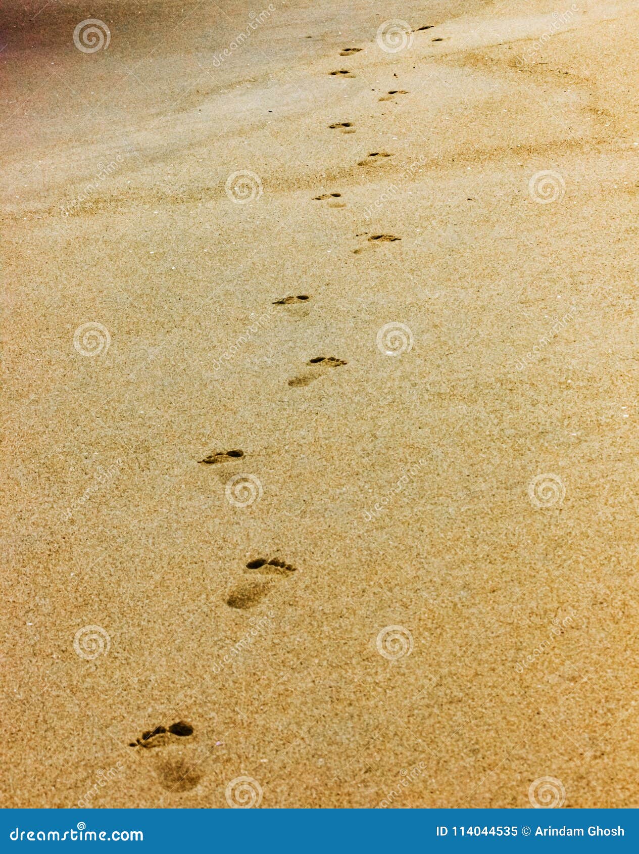 Single Pair of Footsteps on Beach Gradually Walking Away.alone Stock ...