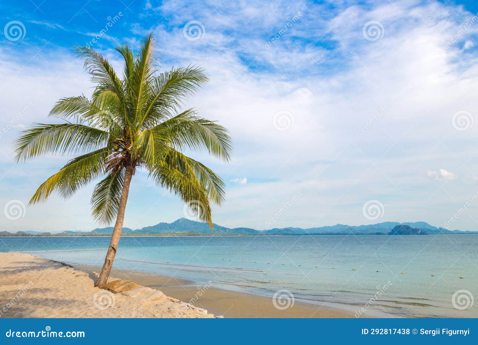 Single palm tree on beach stock illustration. Illustration of white ...
