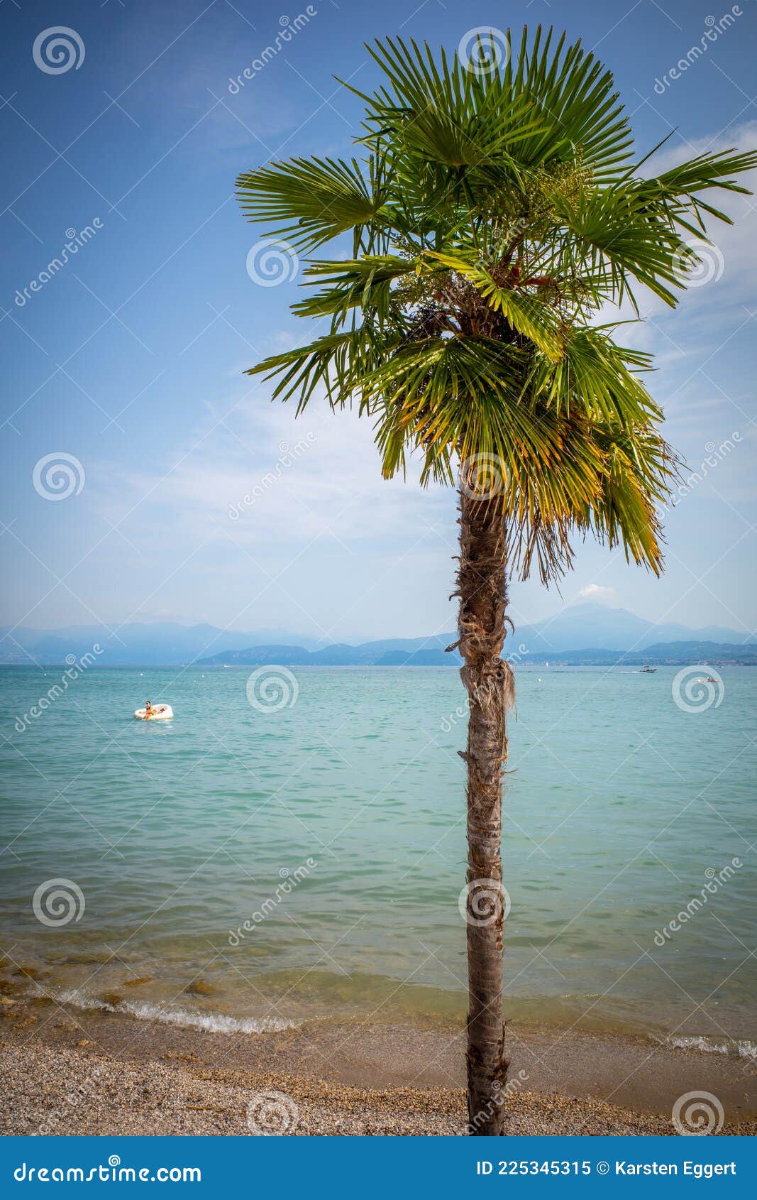 Single Palm Tree Stands on the Shore of Lake Garda Stock Image - Image ...