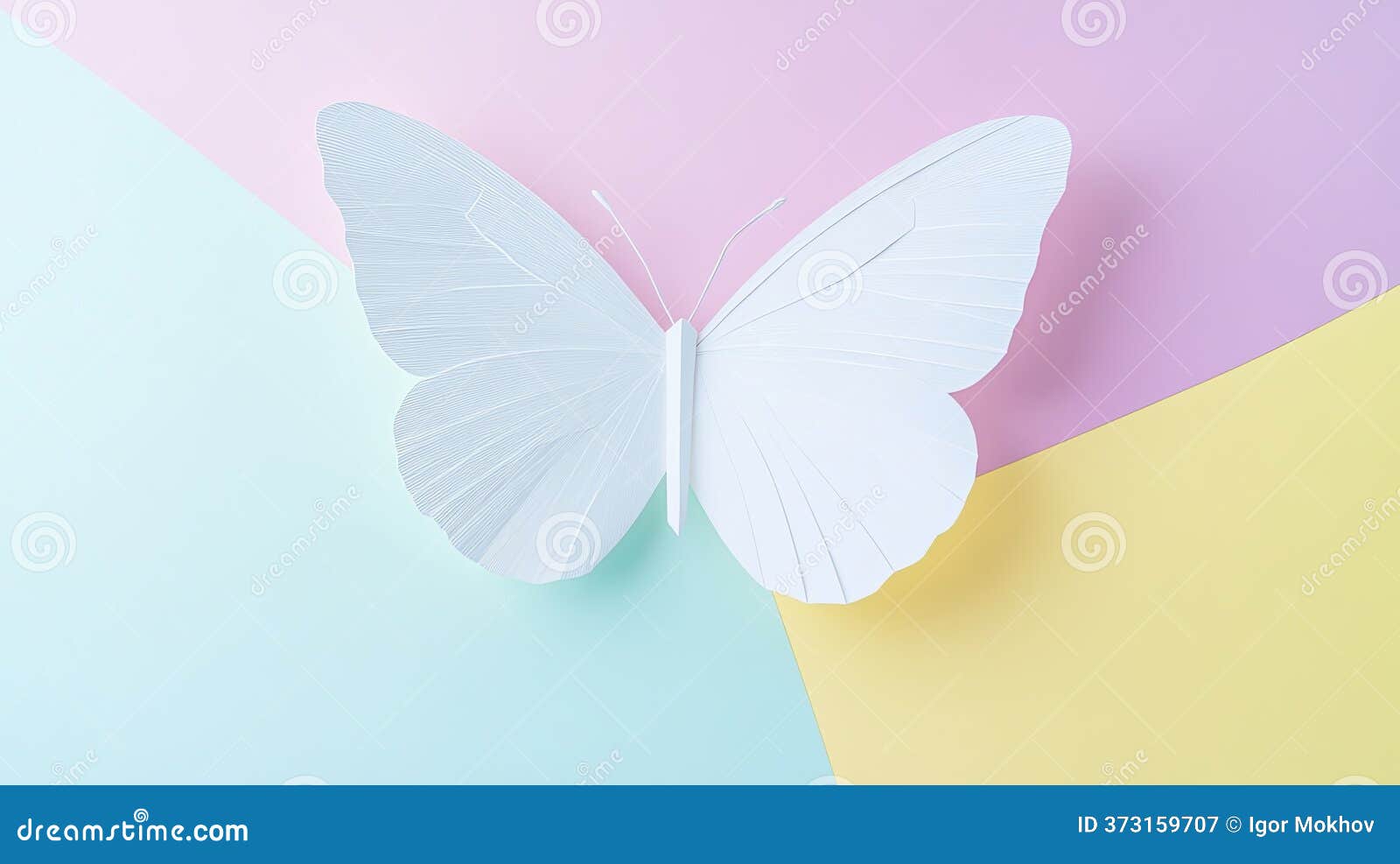 Single Paper Page With Folding Corner Cartoon Vector | CartoonDealer ...