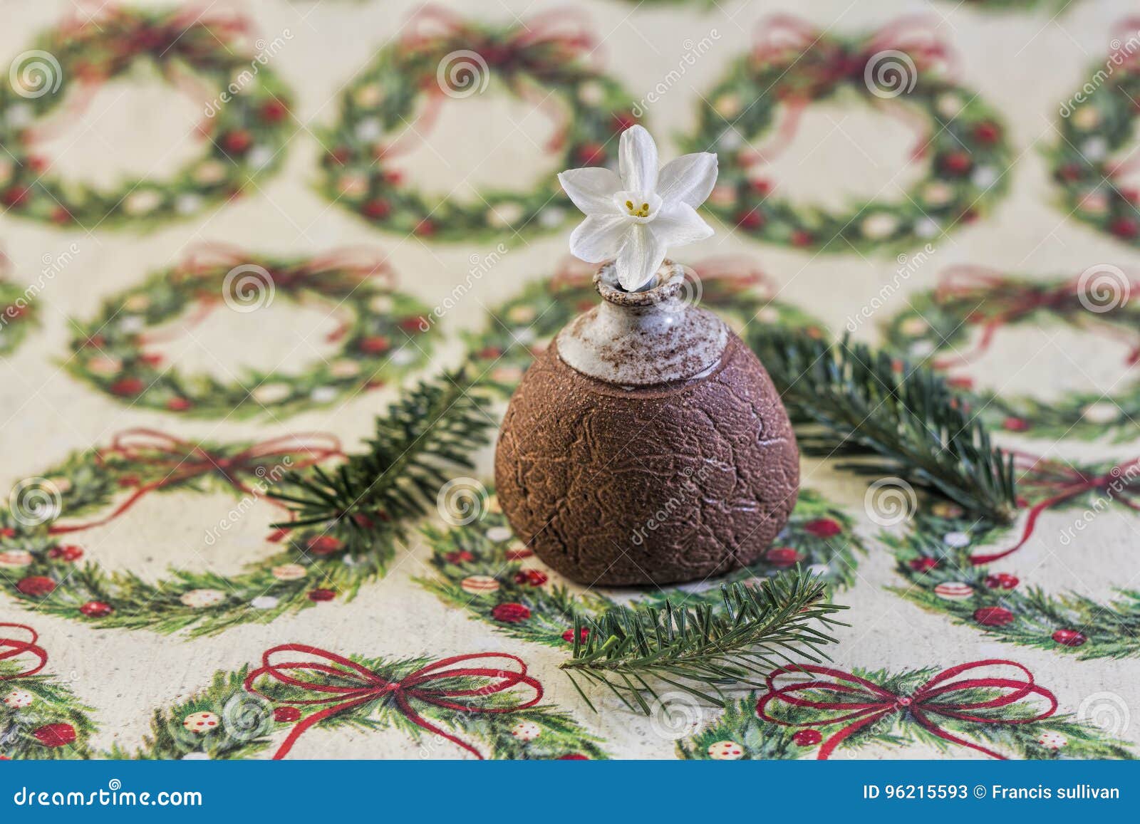 A Single Paperwhite on Holiday Paper Stock Image - Image of single ...