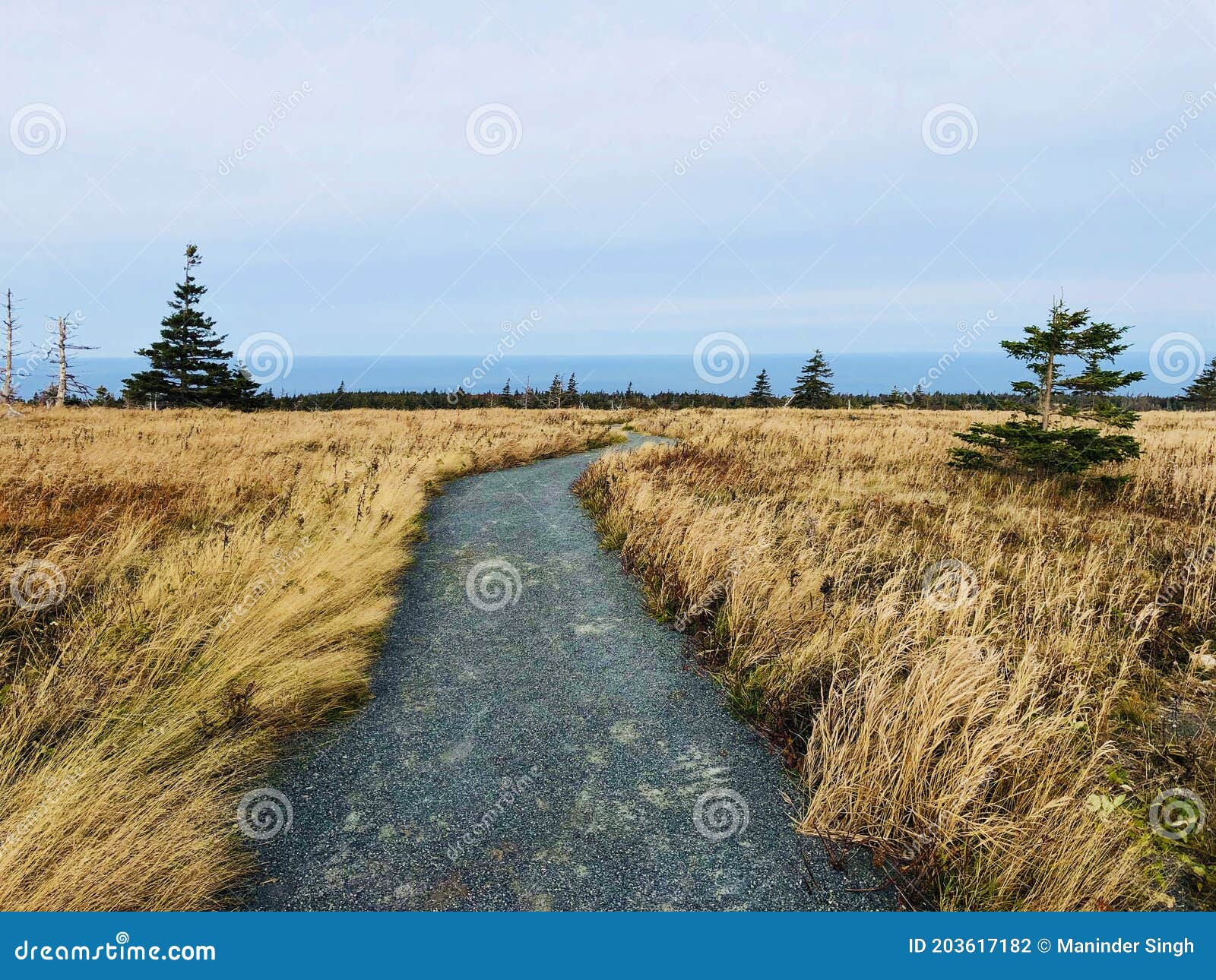 Single path. stock photo. Image of blue, flying, background - 203617182