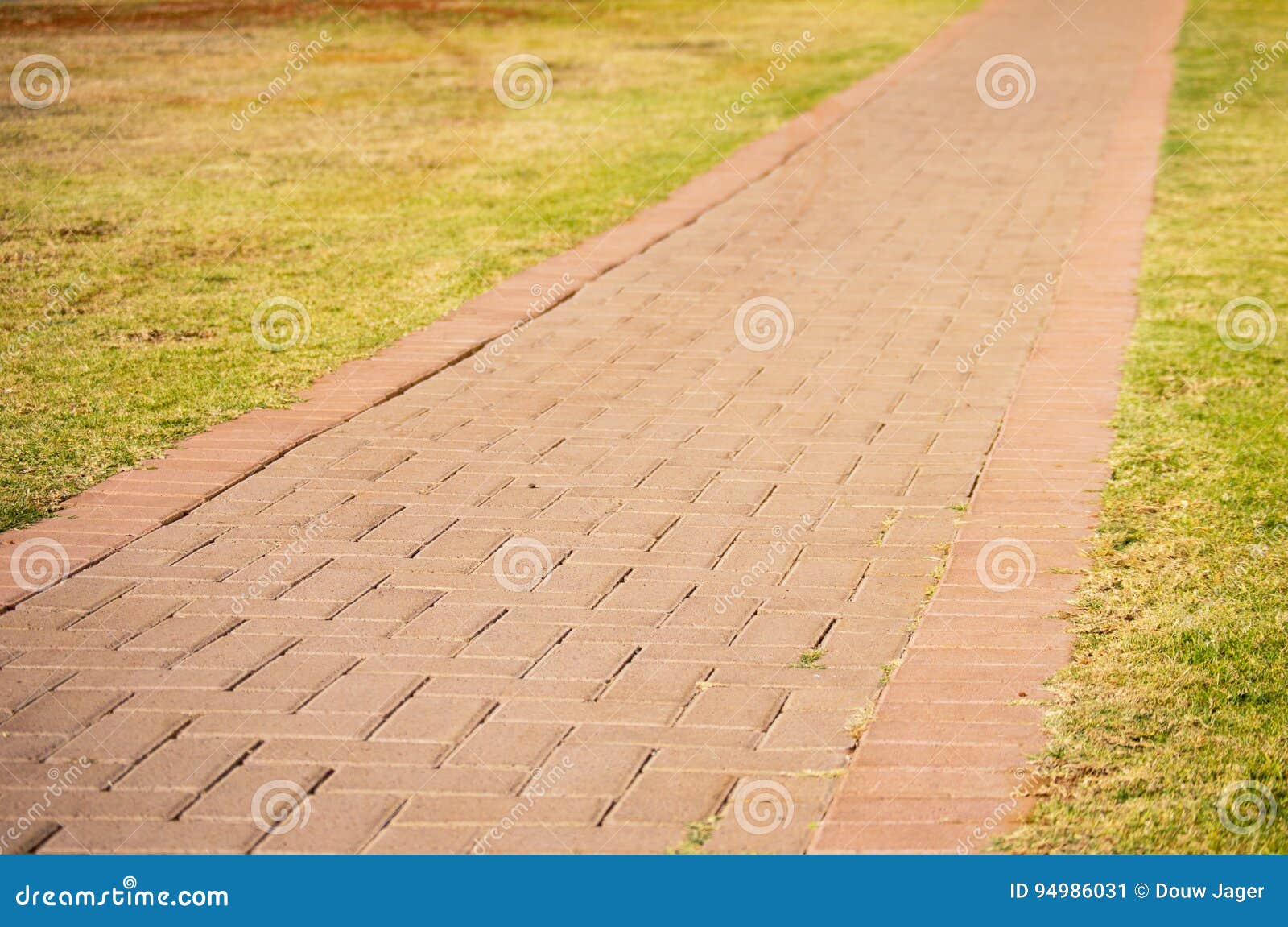 Single Pathway stock image. Image of road, route, footpath - 94986031