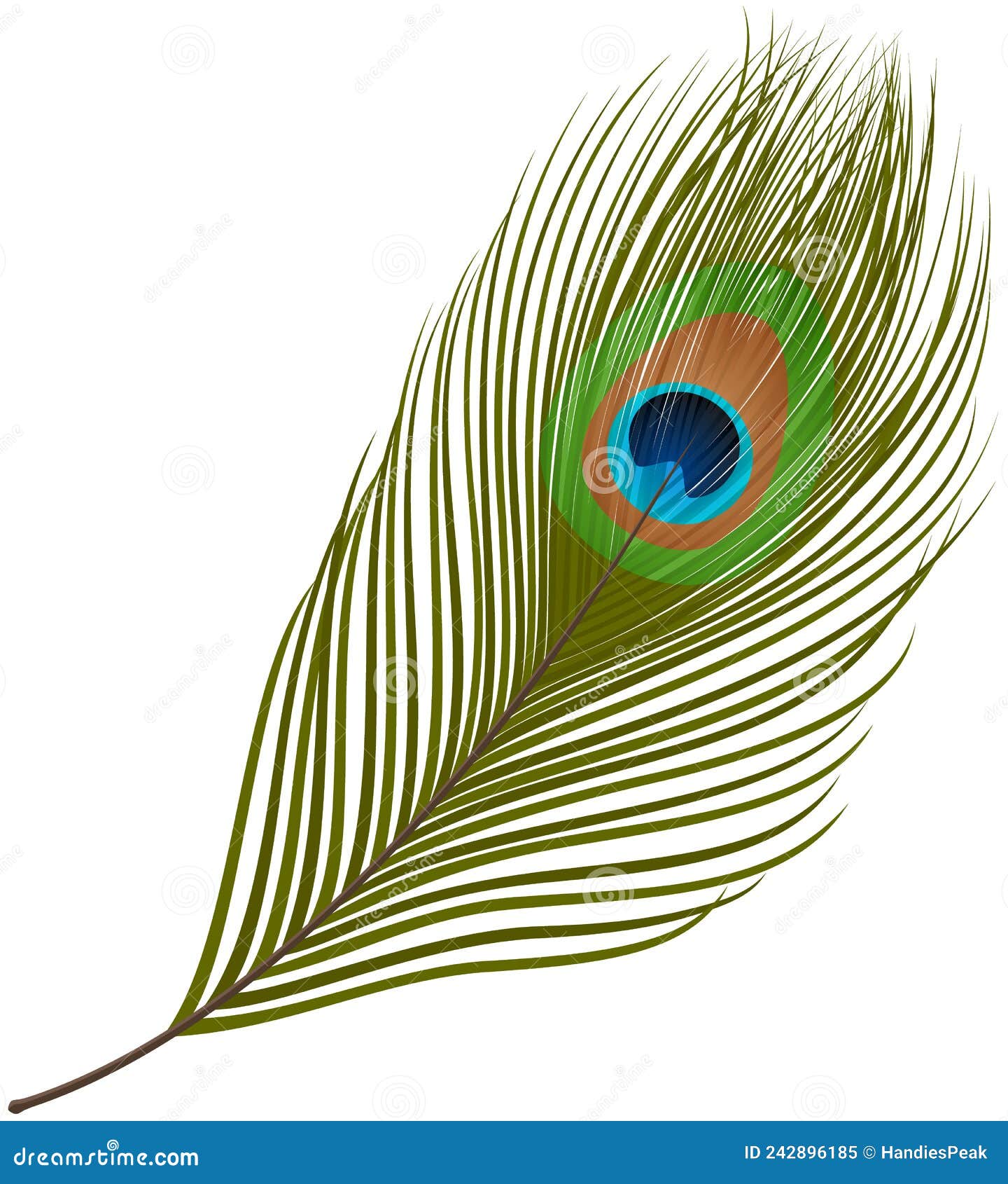 Single Peacock Feathers Vector