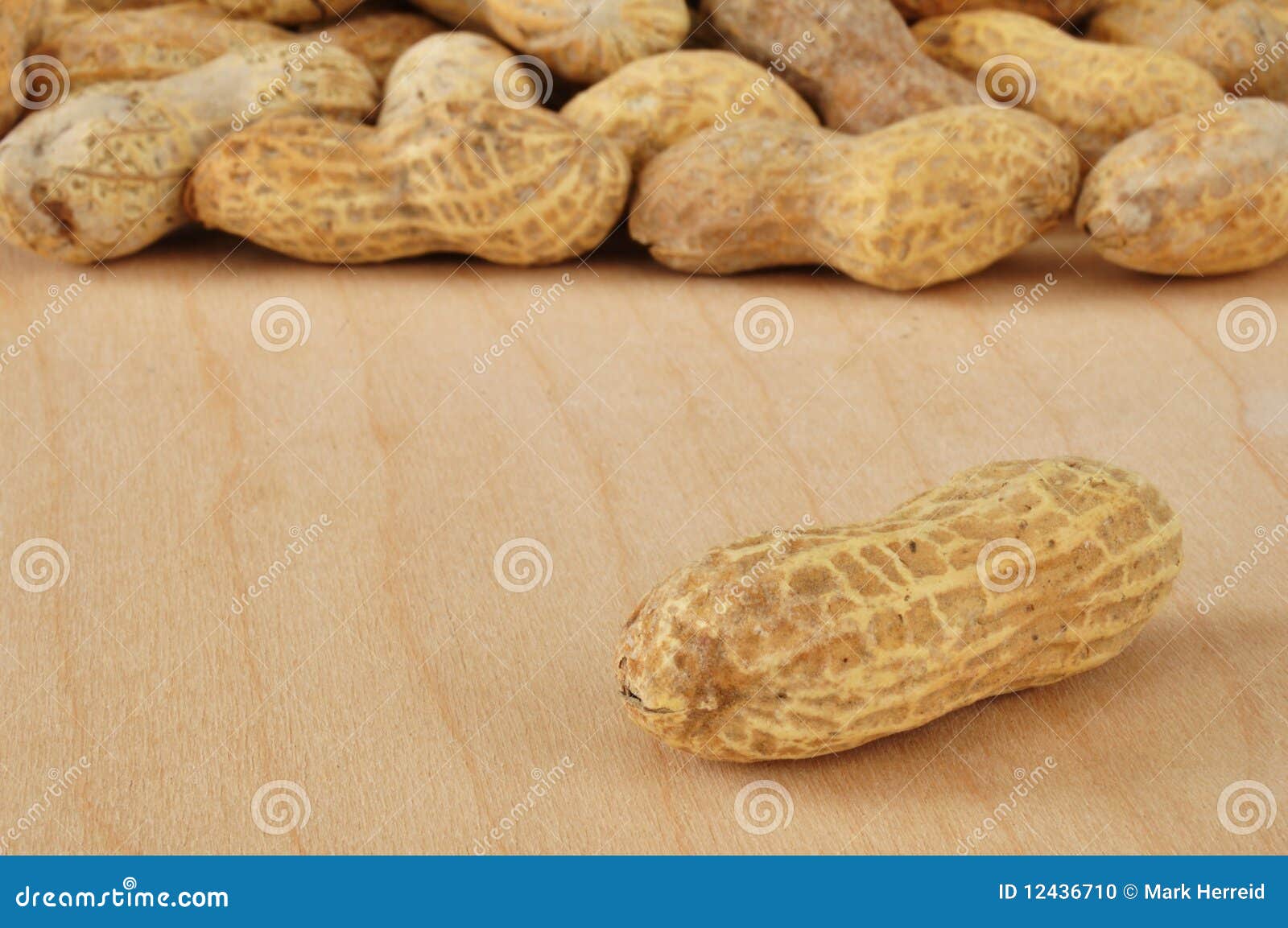 Single Peanut stock photo. Image of snack, horizontal - 12436710