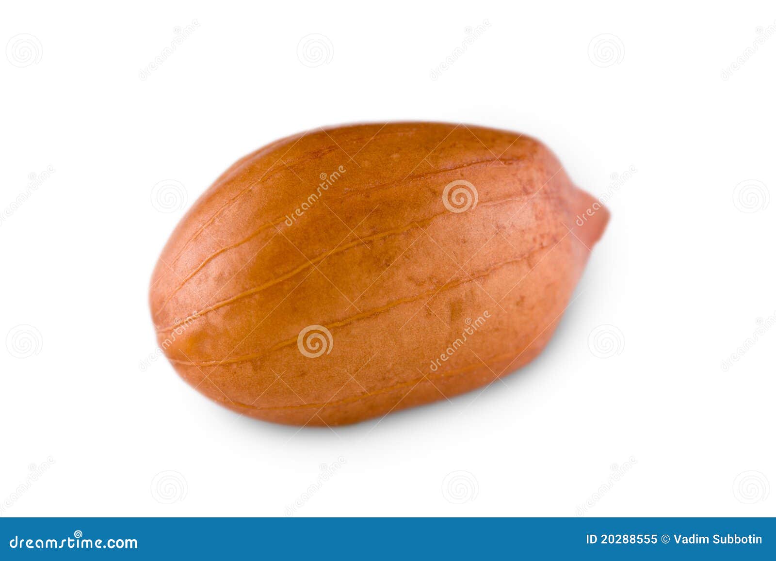 One Peanut Without Shell
