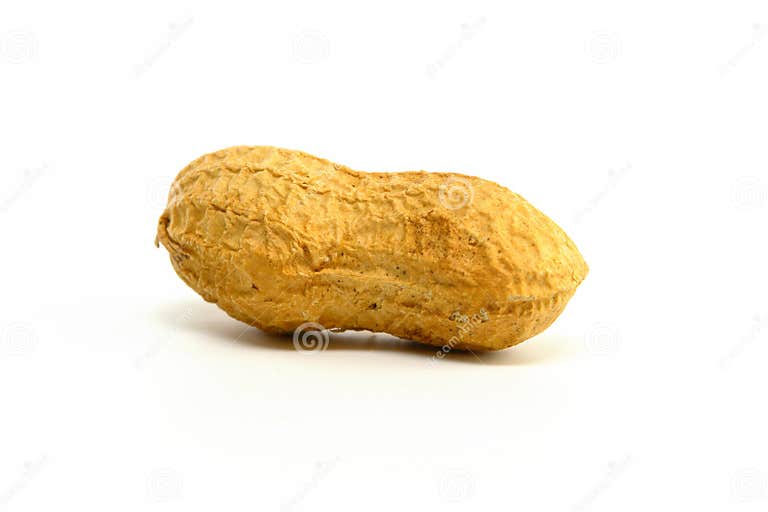 Single Peanut stock image. Image of peanut, shell, background - 50753851