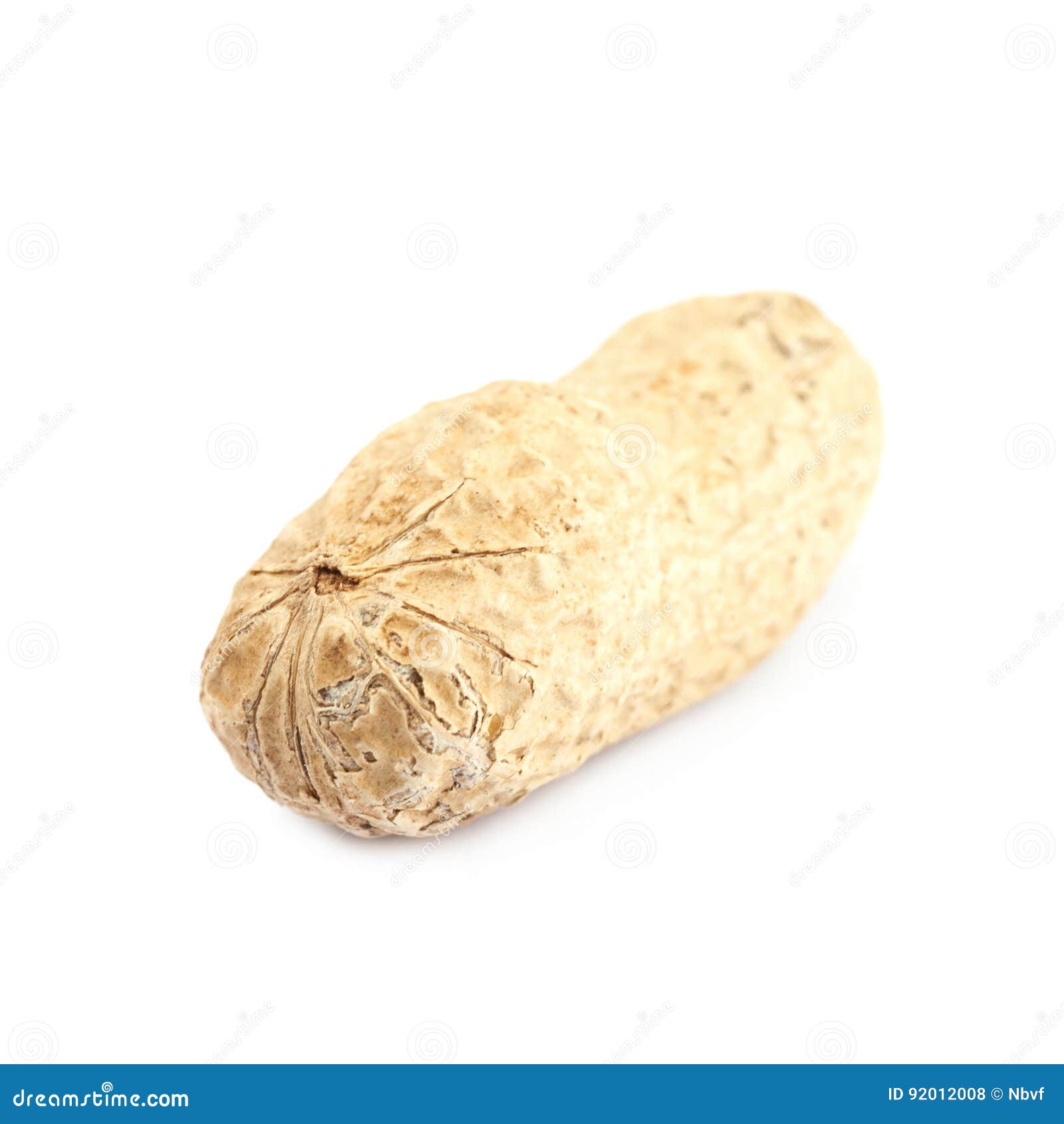 Single Peanut in a Shell Isolated Stock Photo - Image of nutrition ...