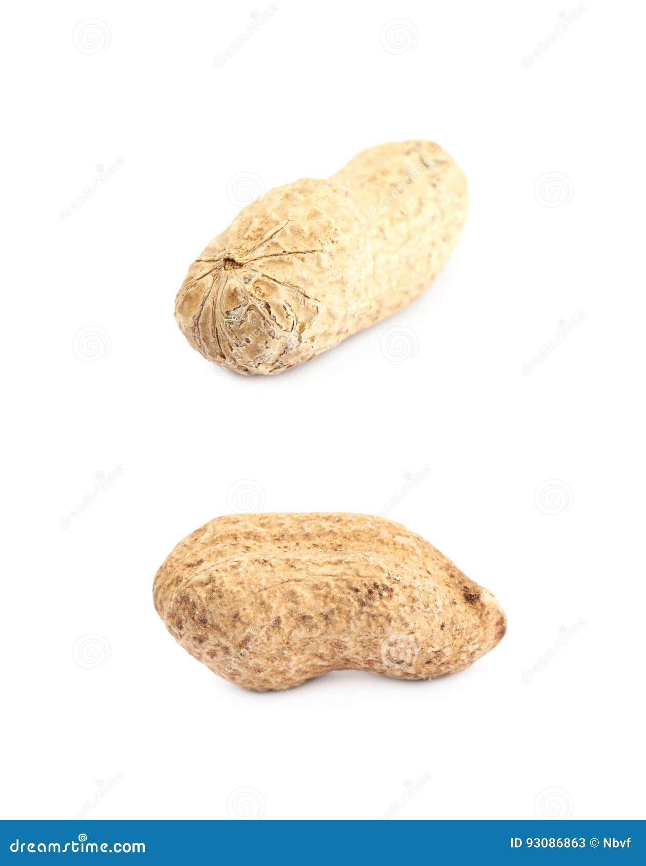 Single Peanut in a Shell Isolated Stock Image - Image of heap ...