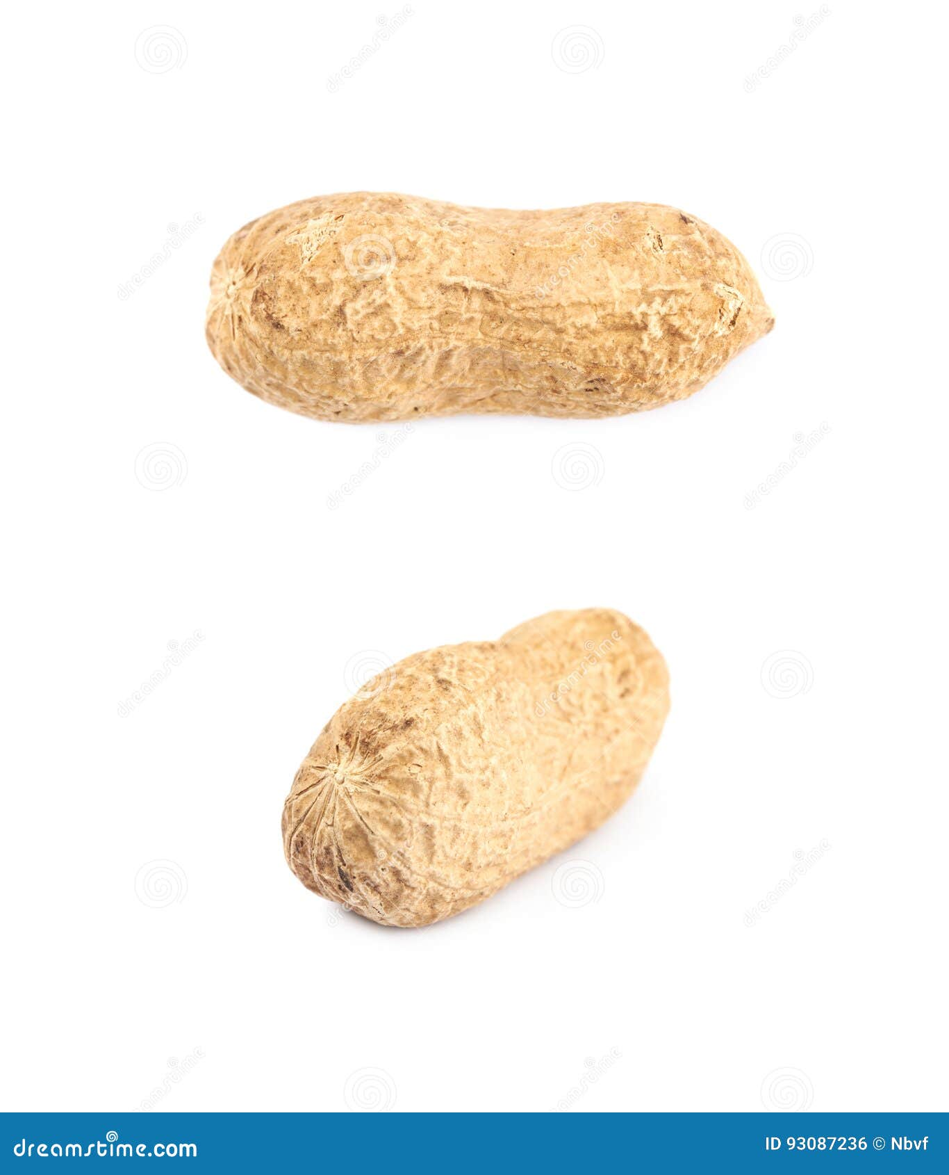 Single Peanut in a Shell Isolated Stock Photo - Image of group ...
