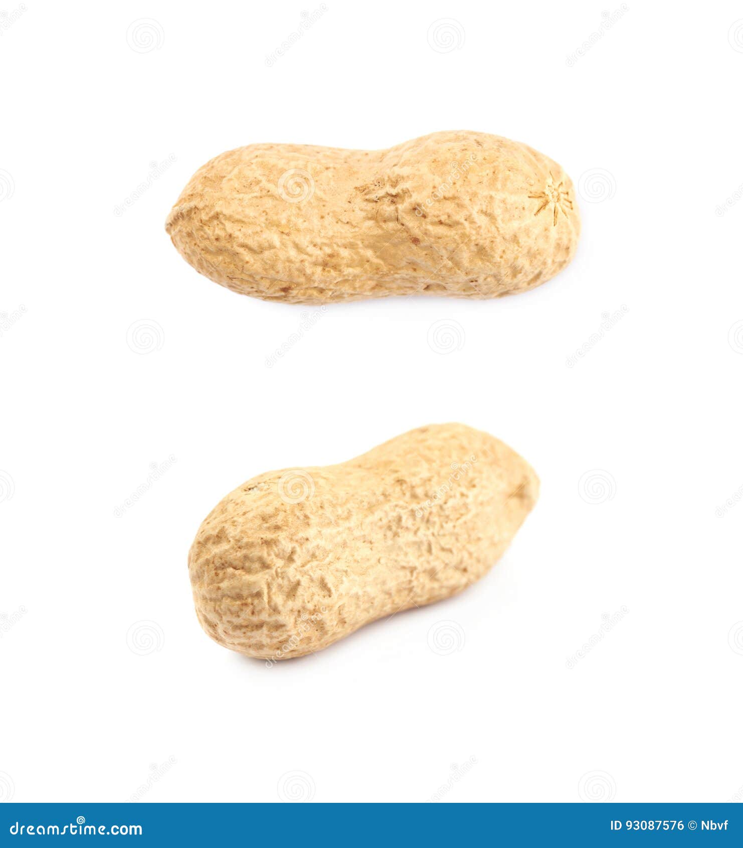 Single Peanut in a Shell Isolated Stock Photo - Image of pile, brown ...