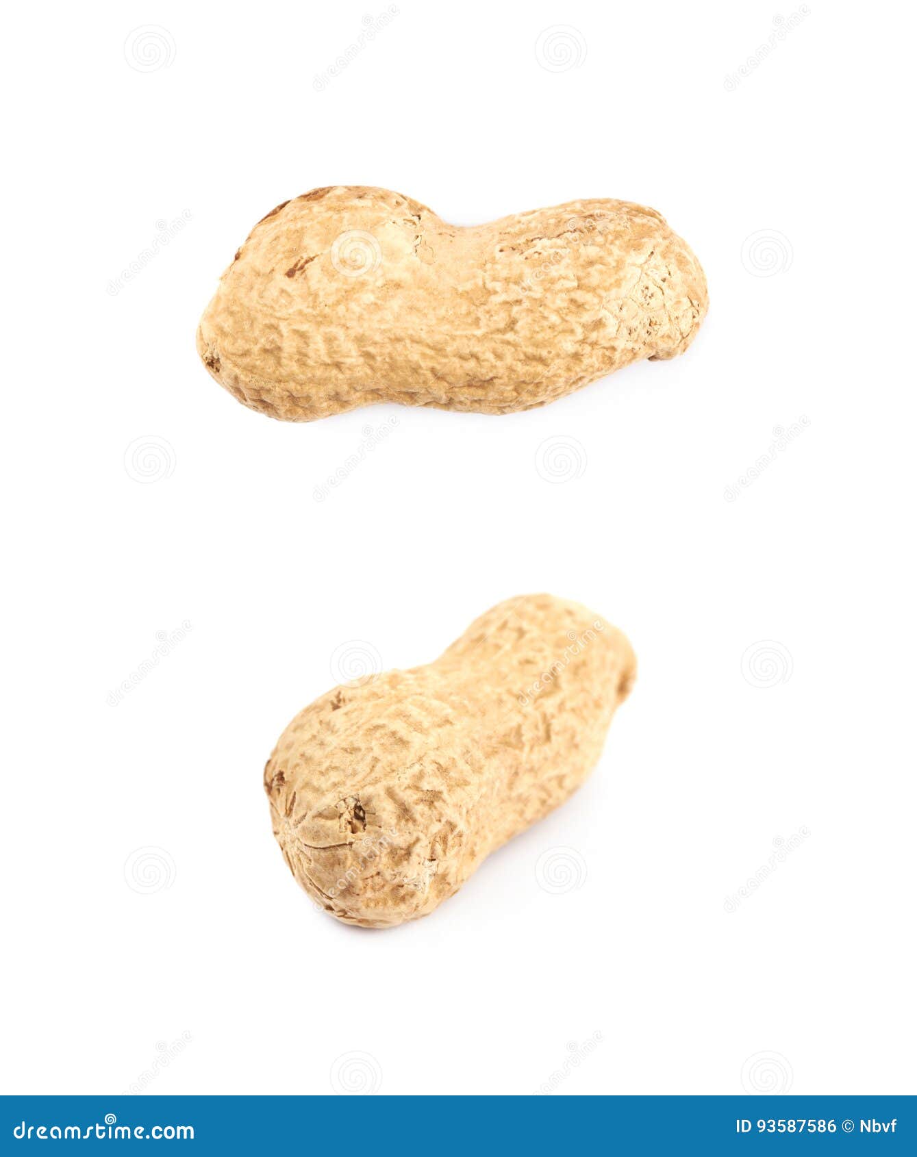 Single Peanut in a Shell Isolated Stock Photo - Image of closeup, close ...