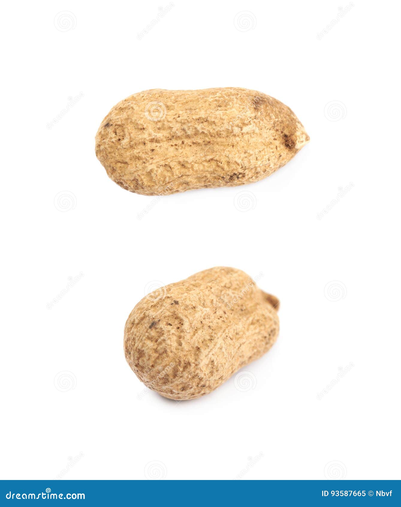 Single Peanut in a Shell Isolated Stock Image - Image of nutrient ...