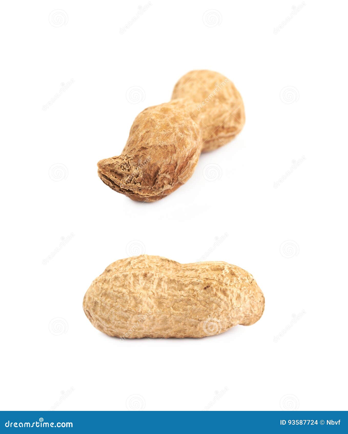 Single Peanut in a Shell Isolated Stock Photo - Image of peel ...