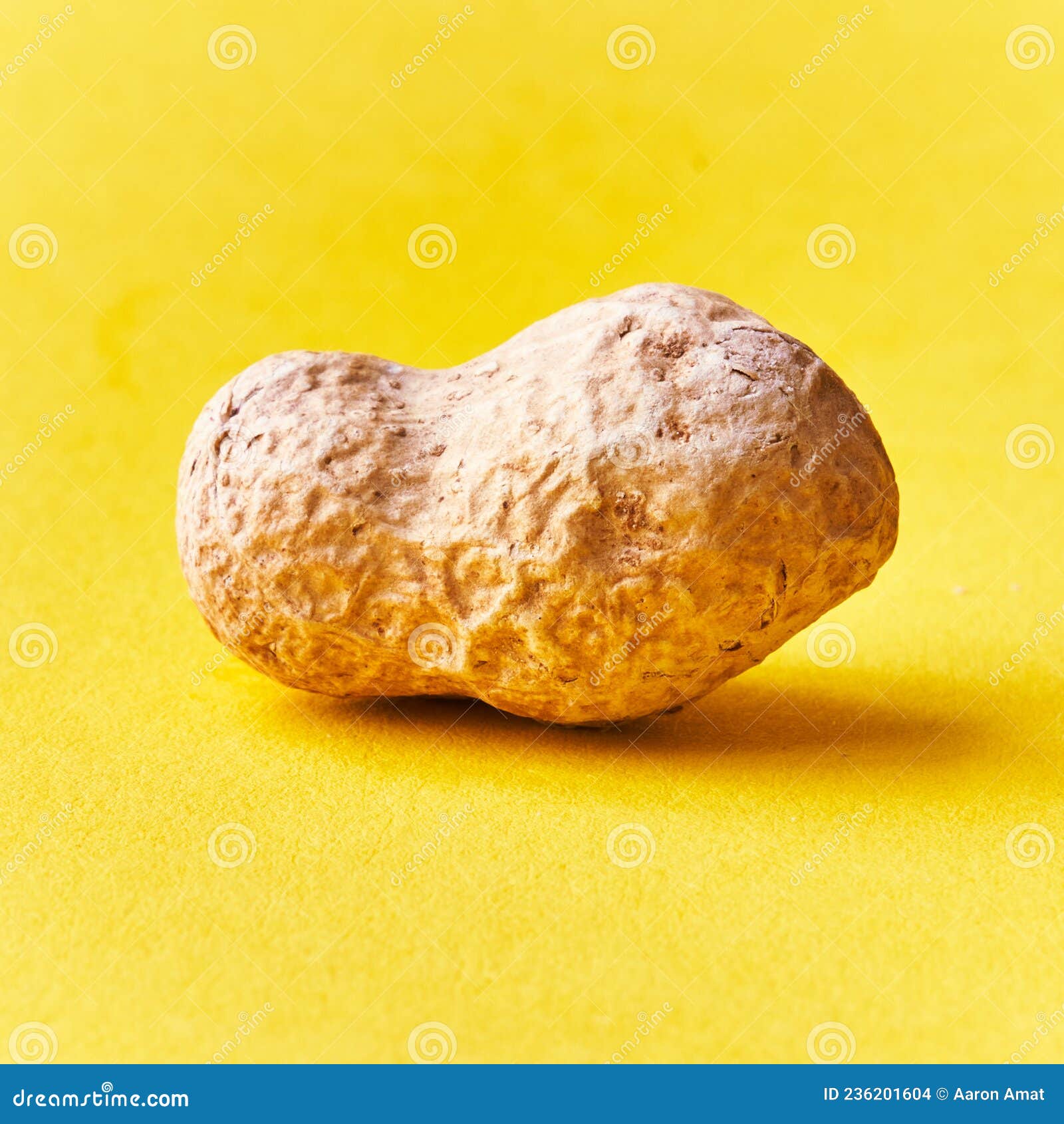 Single Peanut with Shell on a Yellow Background Stock Photo - Image of ...