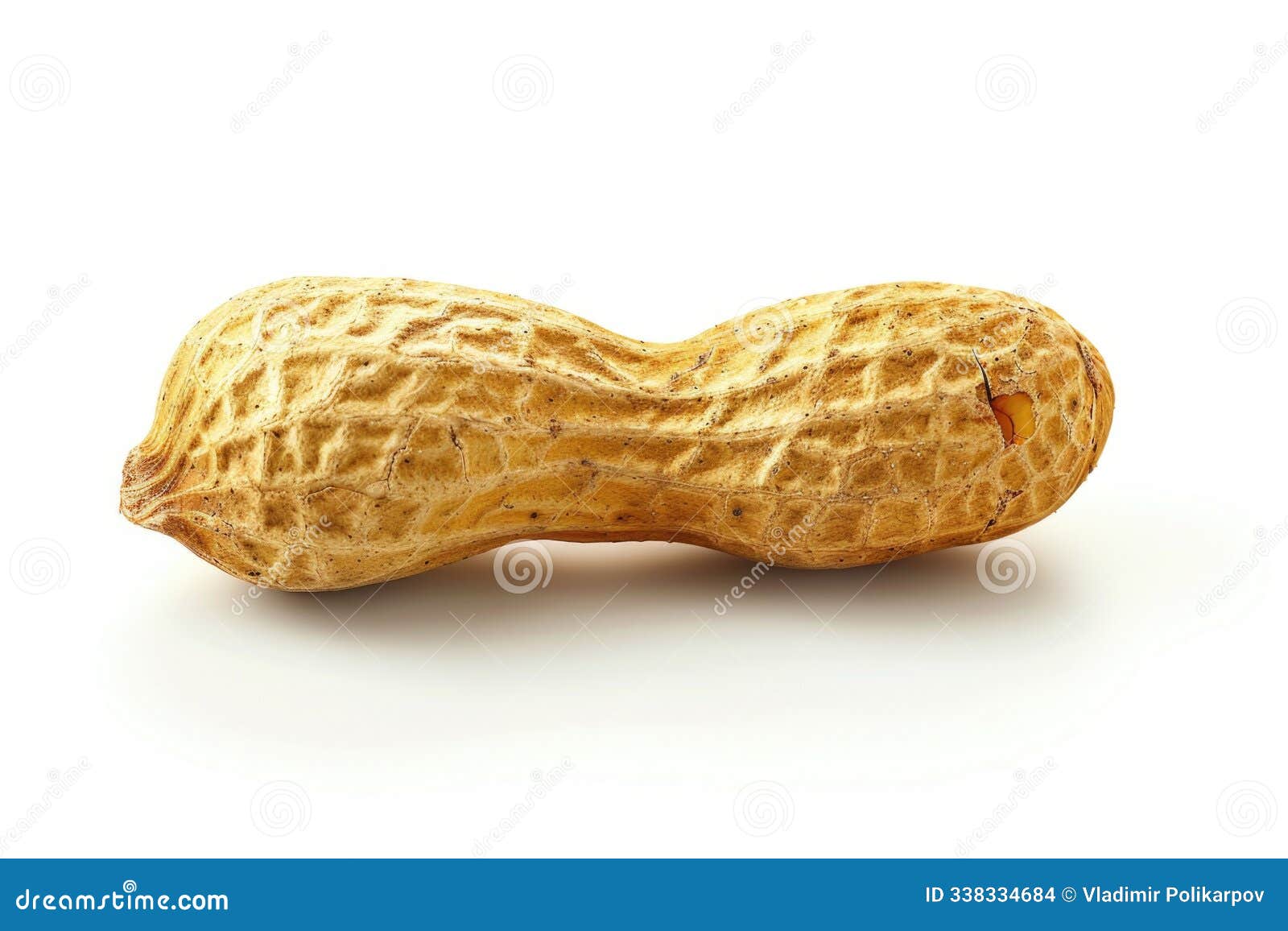 A Single Peanut Sitting on a Clean White Surface Stock Photo - Image of ...