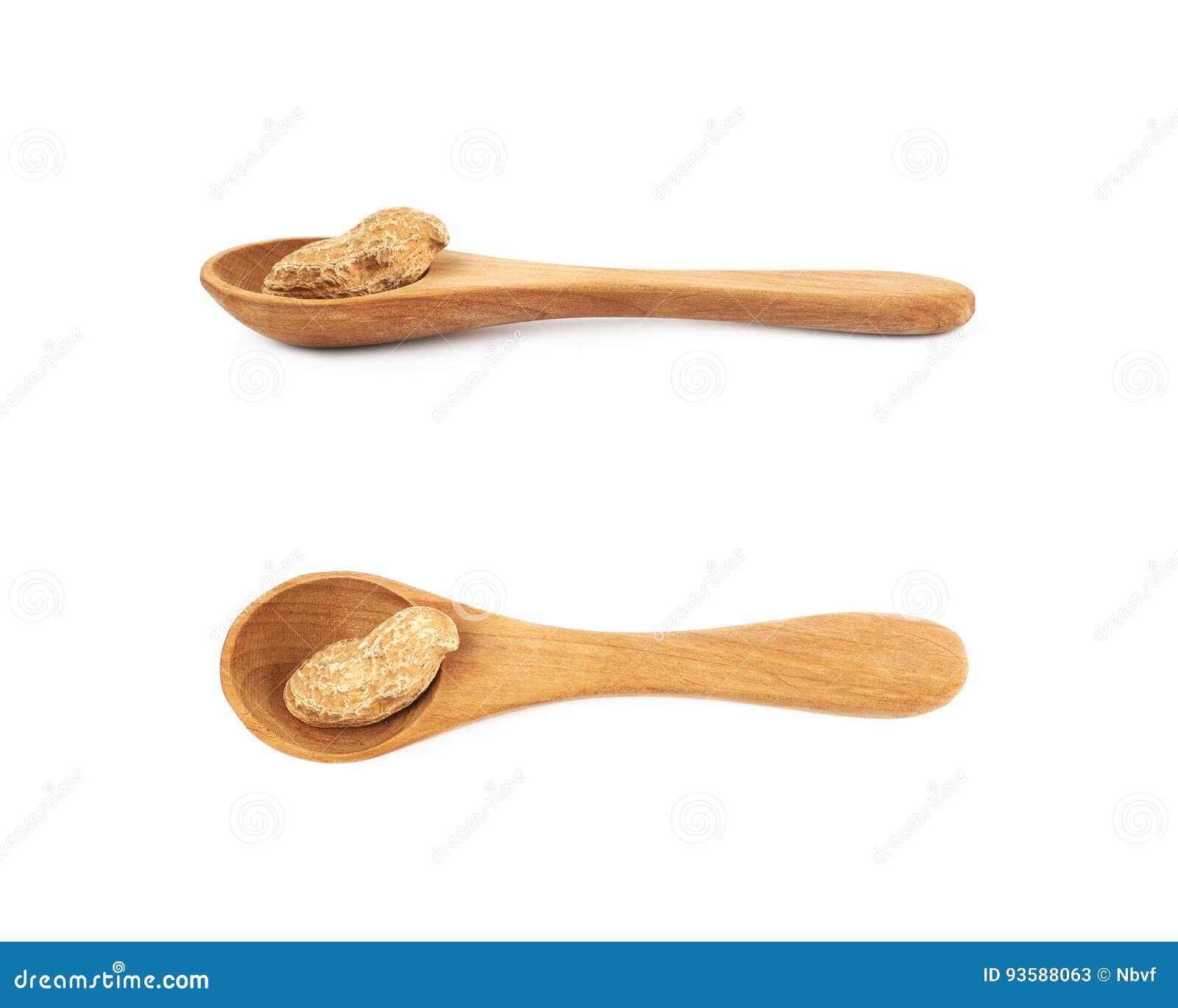 Single peanut in a spoon stock image. Image of group - 93588063