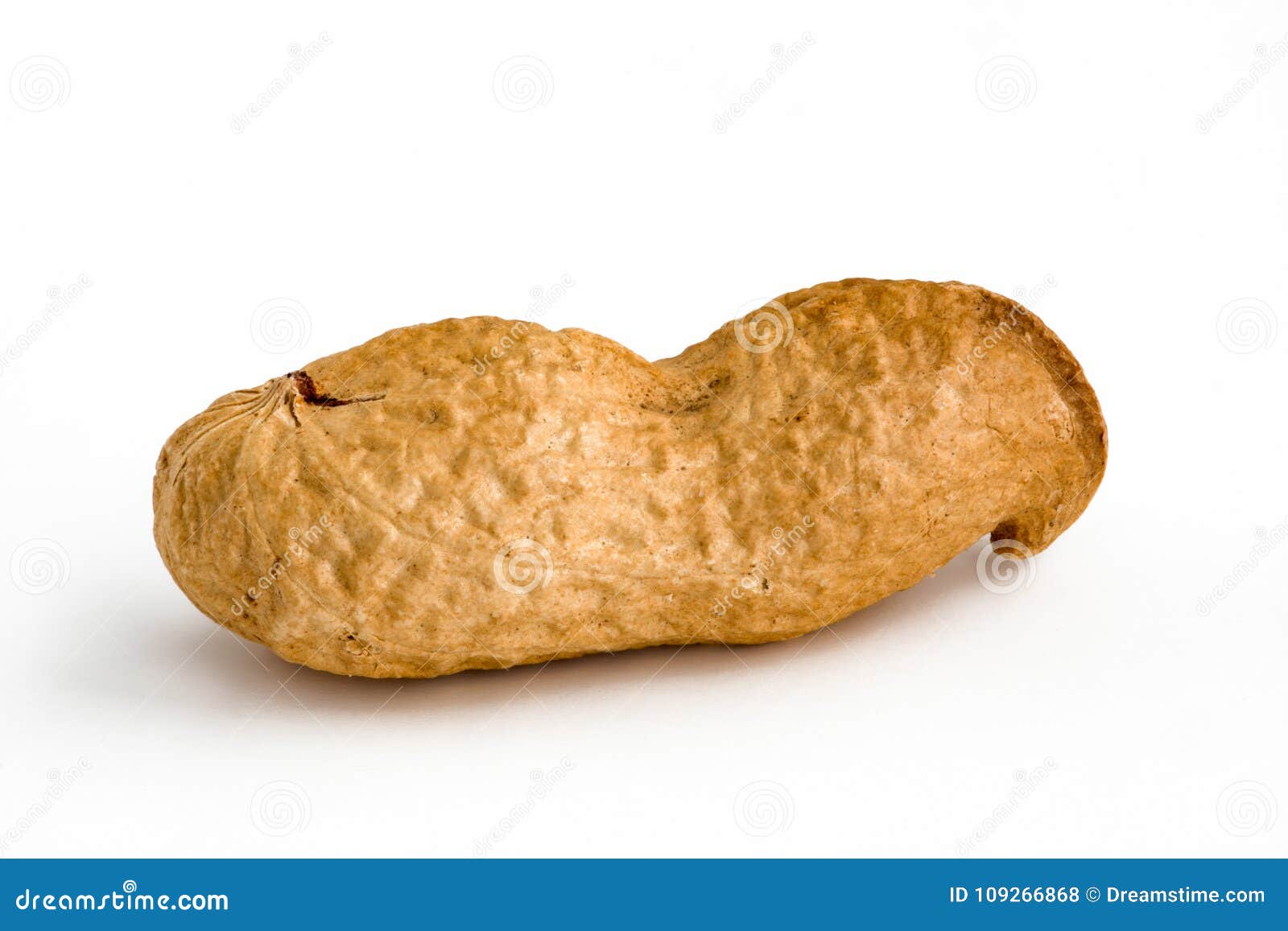 Single peanut - isolated stock photo. Image of keto - 109266868