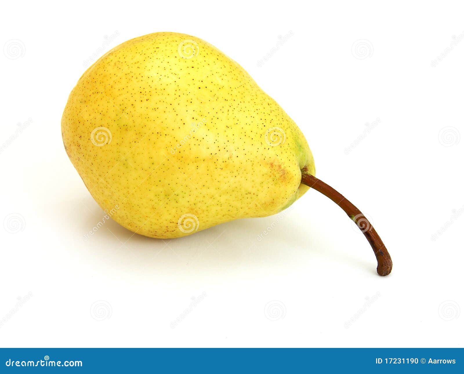 A single pear stock photo. Image of reflection, organic - 17231190