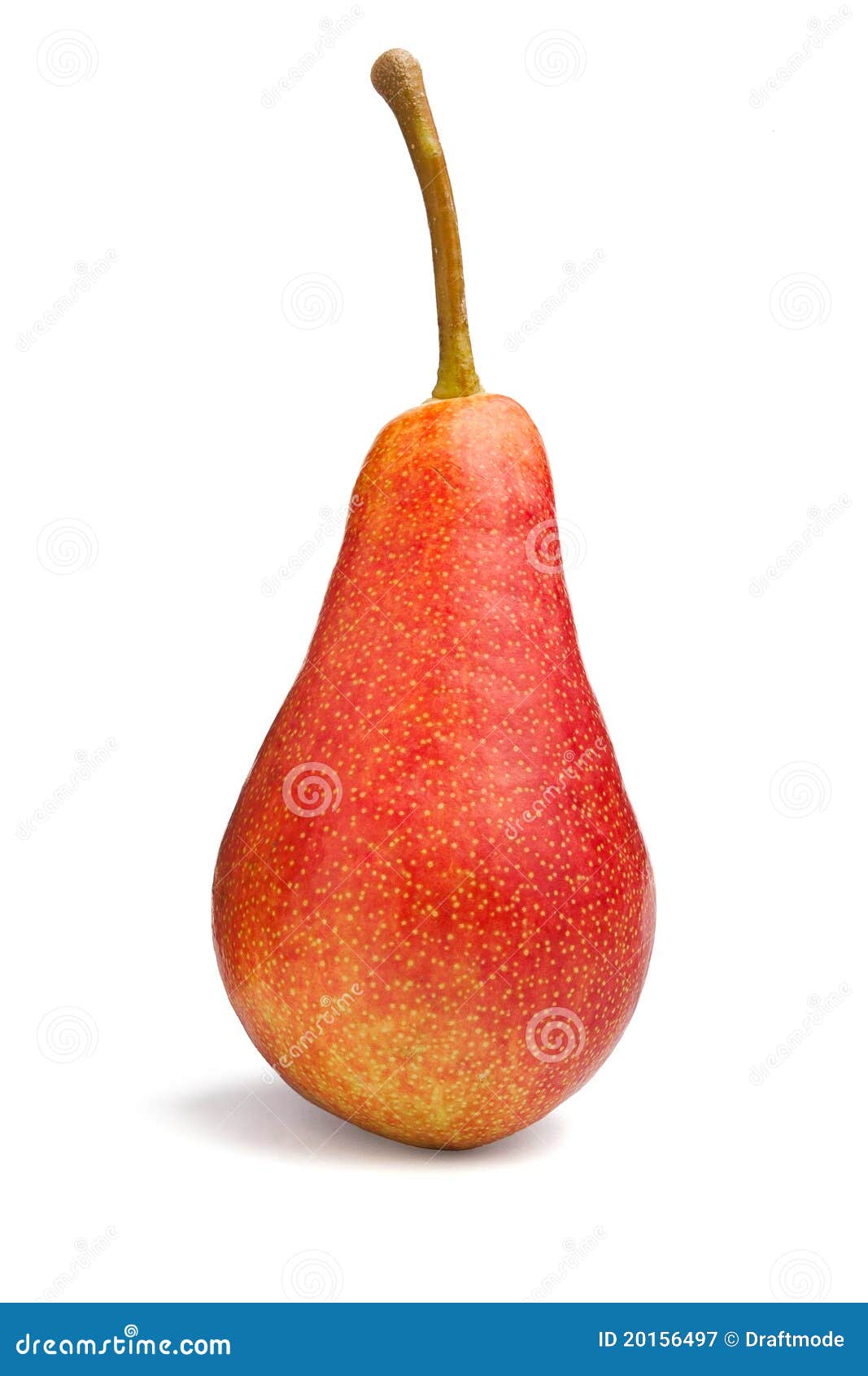 Single pear stock image. Image of healthy, autumn, fruit - 20156497