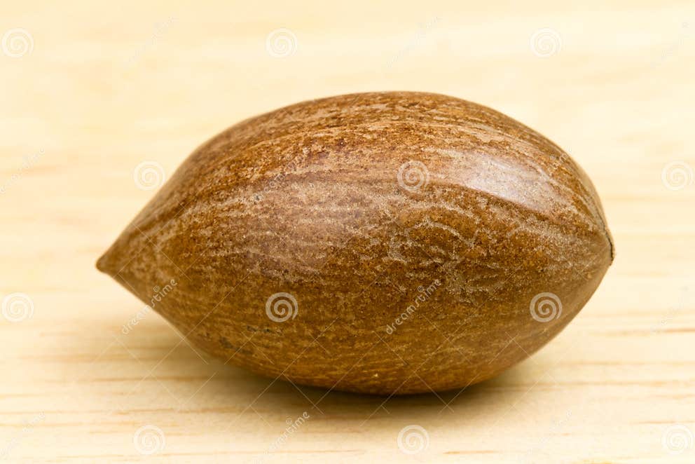 Single Pecan stock photo. Image of aroma, aromatic, seed - 18840194