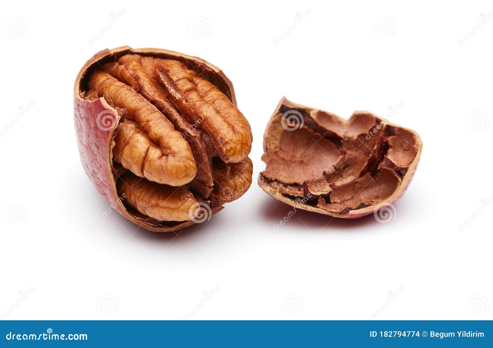 Pecan Isolated on White Background Stock Photo - Image of nutrition ...