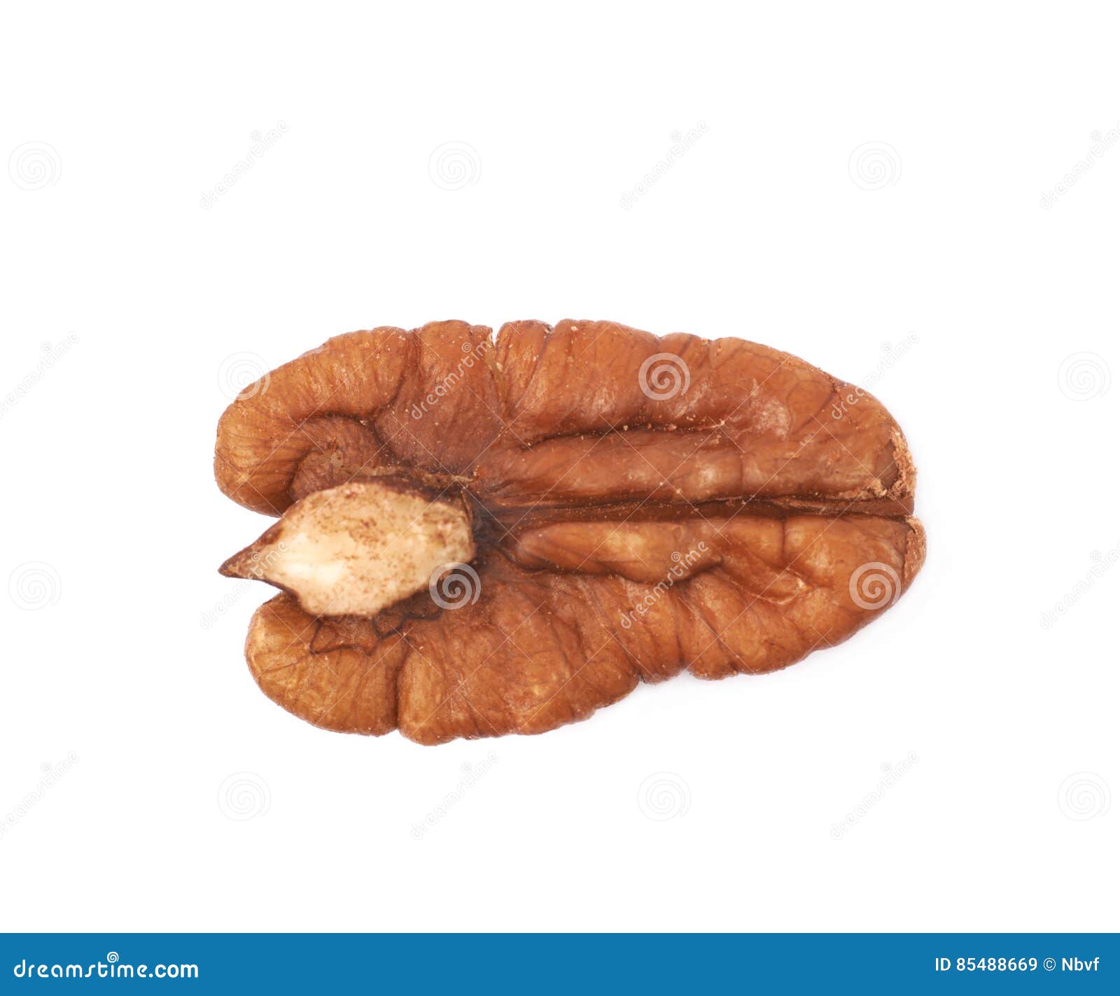 Single pecan nut isolated stock image. Image of antioxidant - 85488669