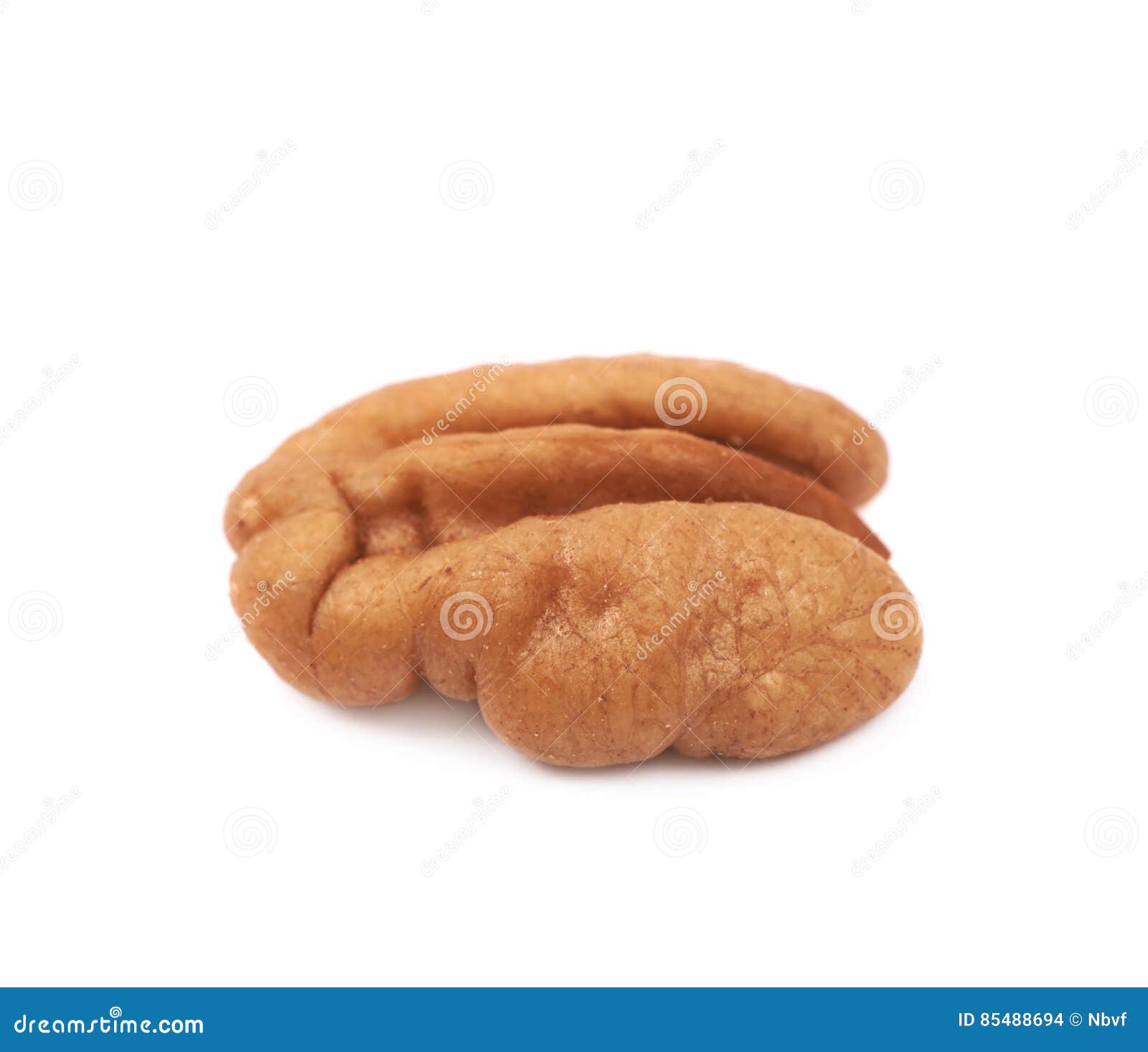 Single pecan nut isolated stock photo. Image of ingredient - 85488694